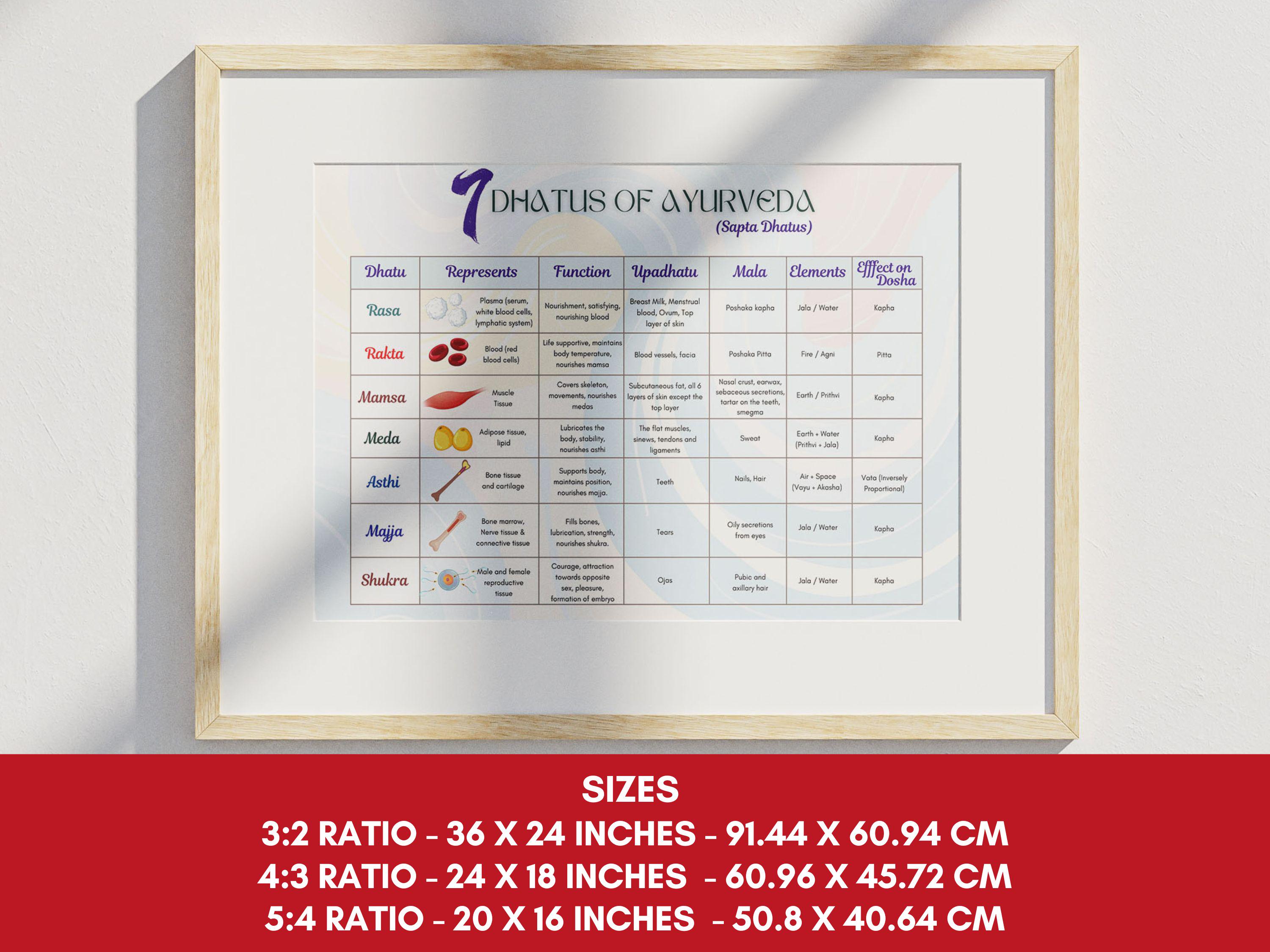 Ayurveda Poster Sapta Dhatus Chart, 7 Dhatus of Ayurveda, Alternative ...