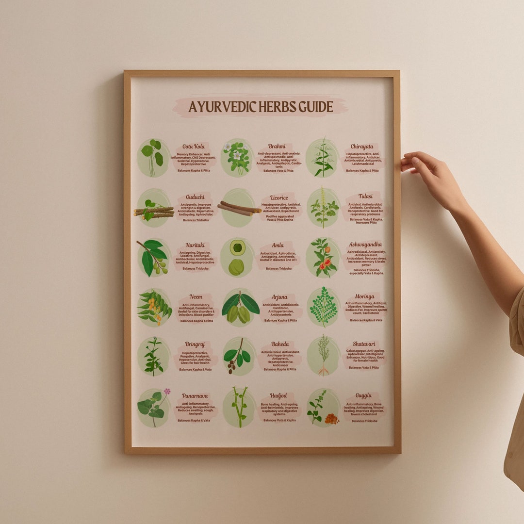 Ayurvedic Herbs Chart Guide Poster Ayurveda Chart, 18 Herbs With ...
