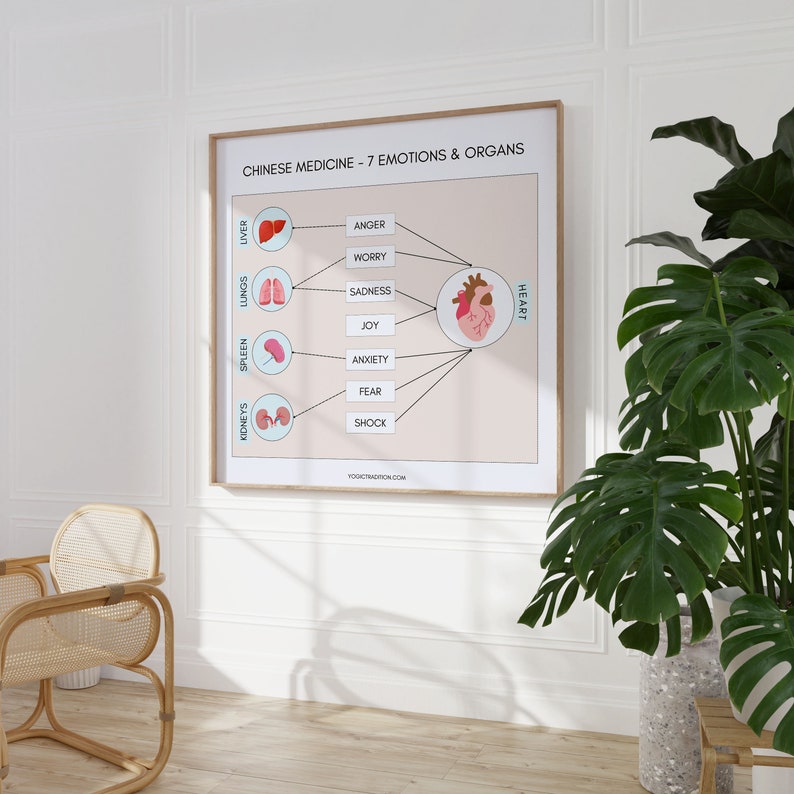 TCM 7 Emotions and Organs Poster, TCM Study Guide, Chinese Medicine ...
