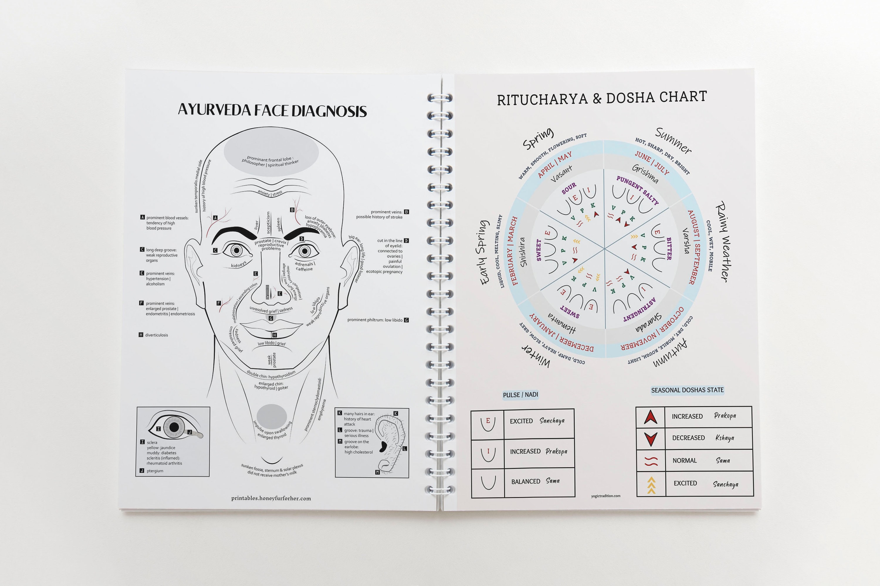 Ritucharya Seasons and Dosha Relation Chart Ayurveda - Etsy Australia