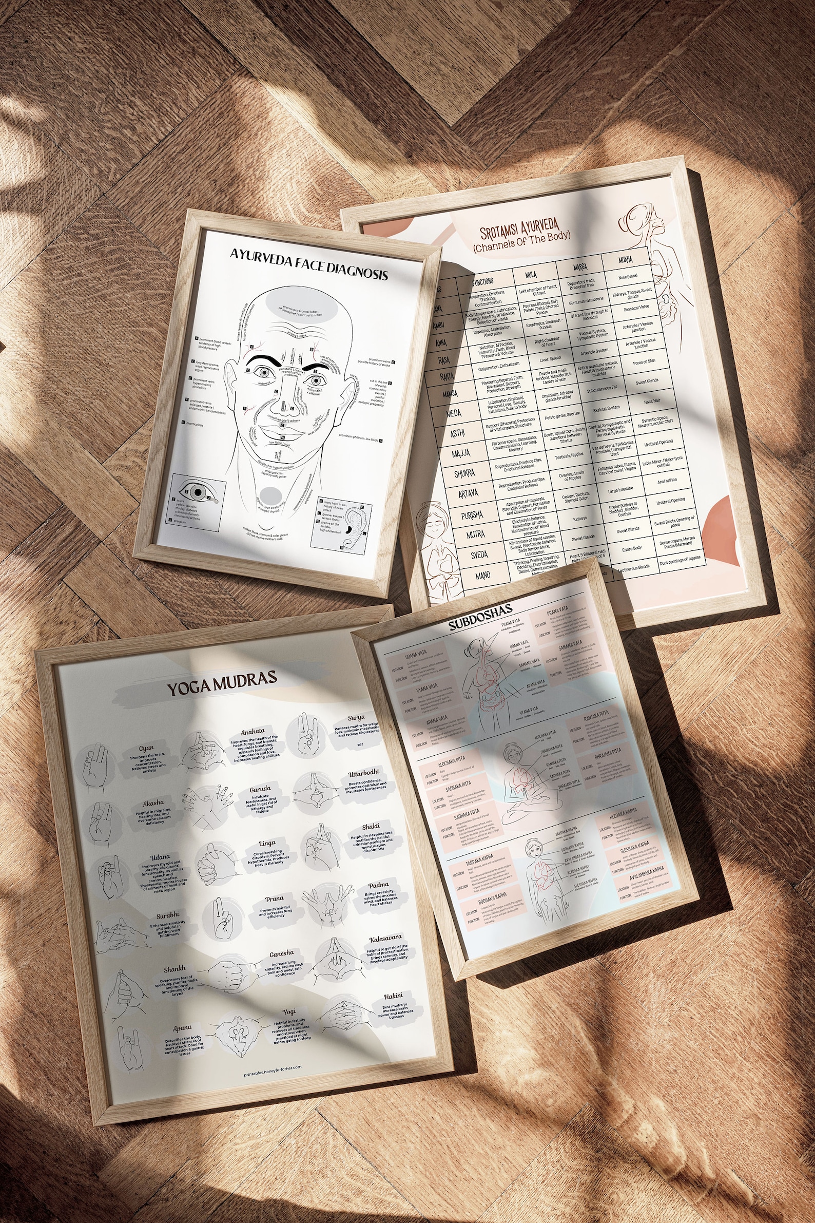 Ayurveda Poster Srotamsi Dhatu Dosha Chart Poster Channels - Etsy