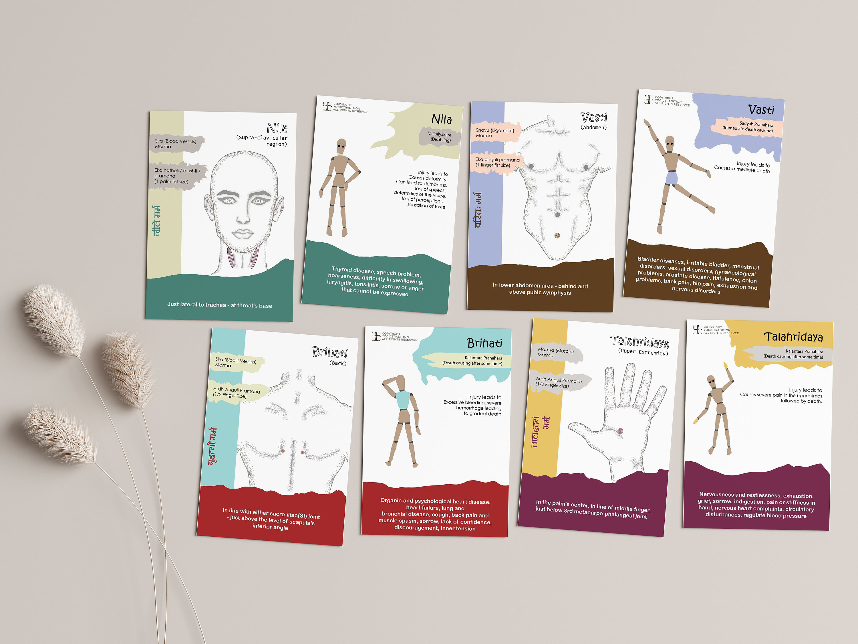 Flashcards - 51 Ayurveda Marma Points Collection With Sanskrit Names ...