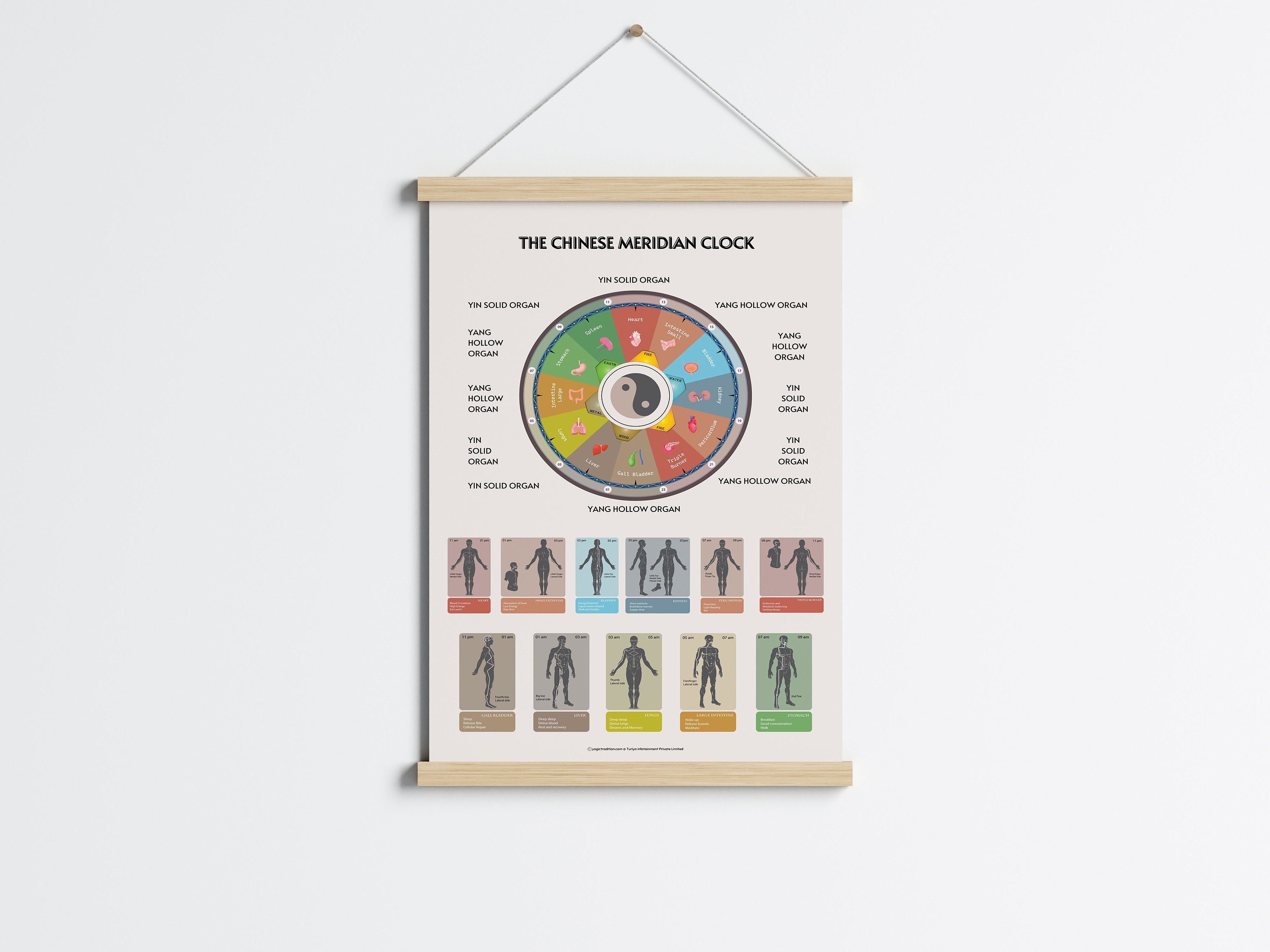 TCM Meridian Organ Uhr Poster, Chinesische Medizin Geschenk ...