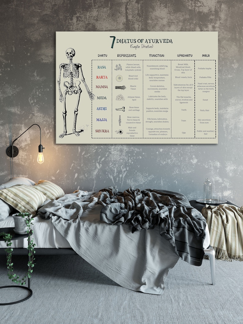 Ayurveda Poster Ayurveda Chart Sapta Dhatus 7 Dhatus of - Etsy Australia