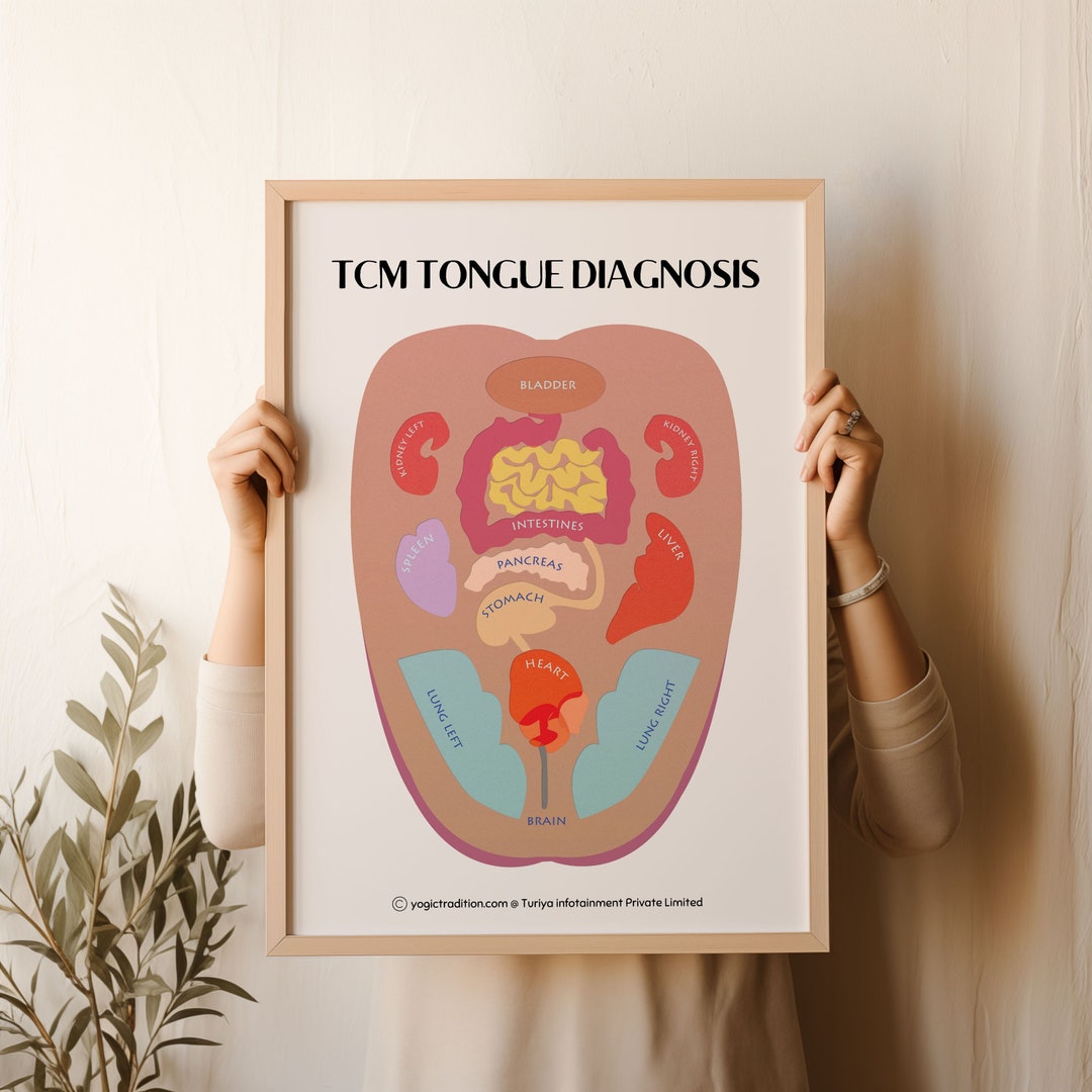 TCM Tongue Diagnosis Chart Poster + Book Planner Insert, Traditional ...