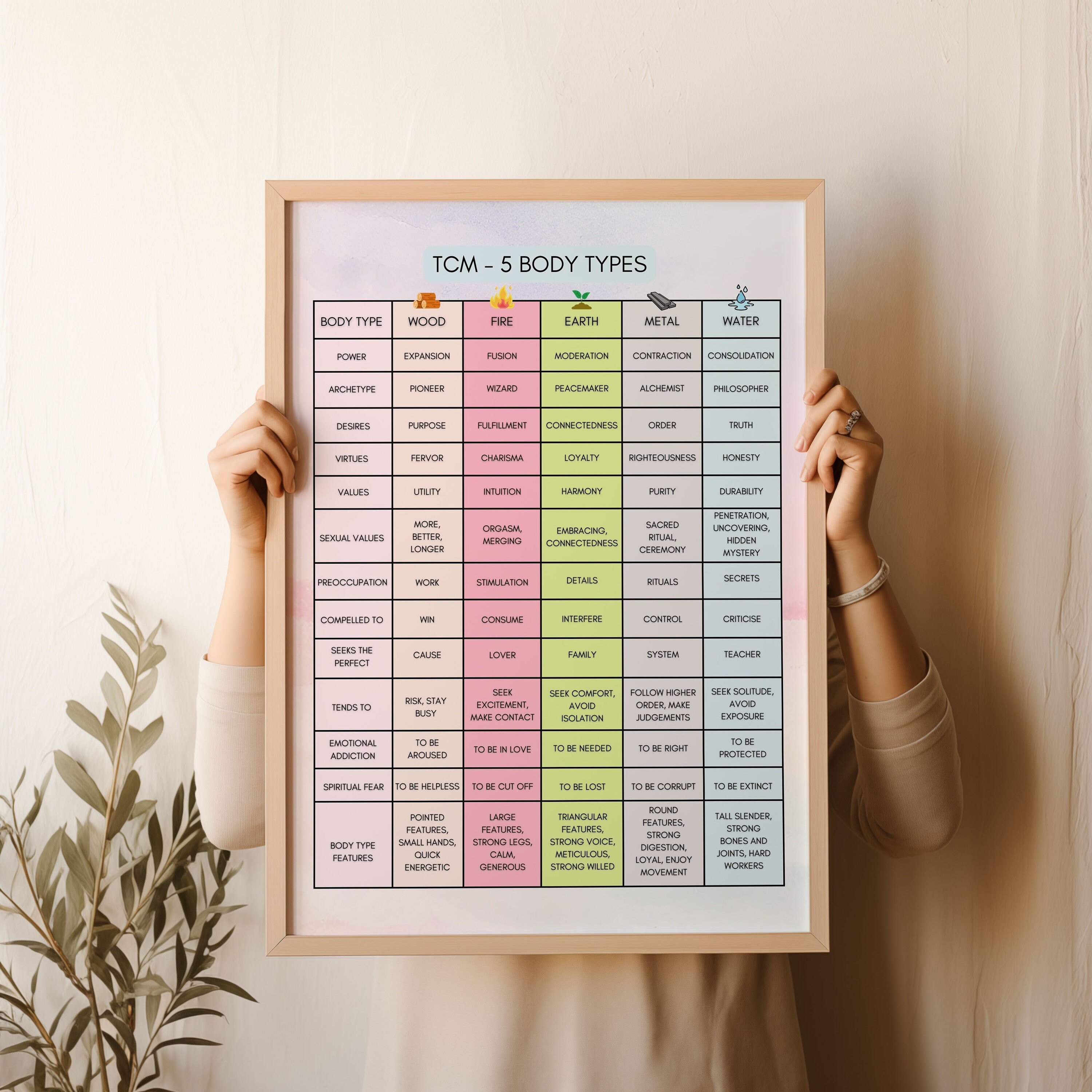 TCM Five Body Types With 5 Elements Poster, Chinese Medicine Body Types ...