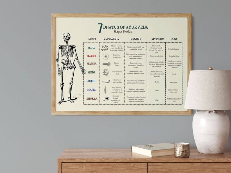 Ayurveda Poster Ayurveda Chart Sapta Dhatus 7 Dhatus of | Etsy UK