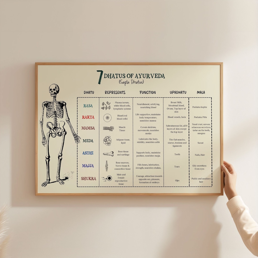 Ayurveda Poster Sapta Dhatus Chart, 7 Dhatus of Ayurveda, Alternative ...