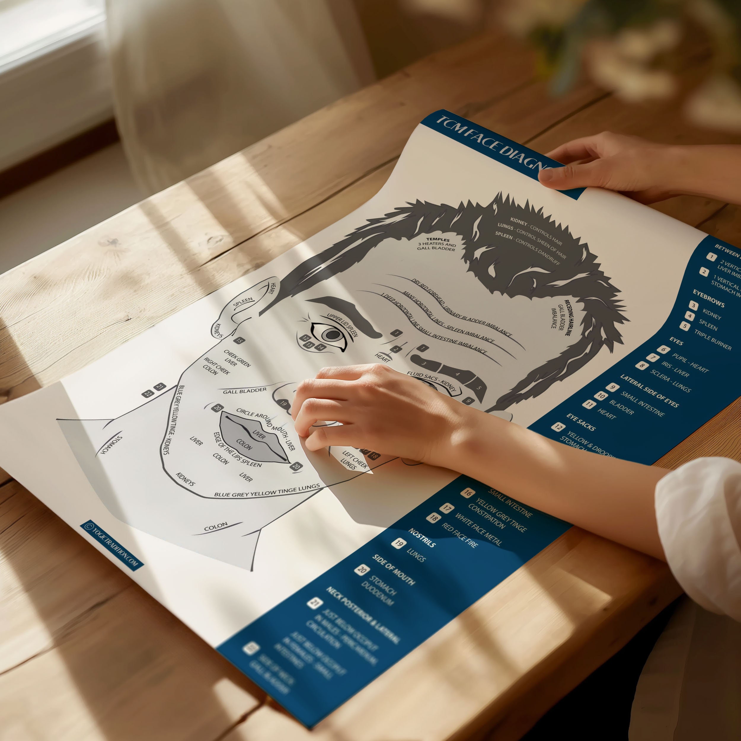 TCM Face Diagnosis Poster + Book Planner Insert, TCM Chart, Traditional ...