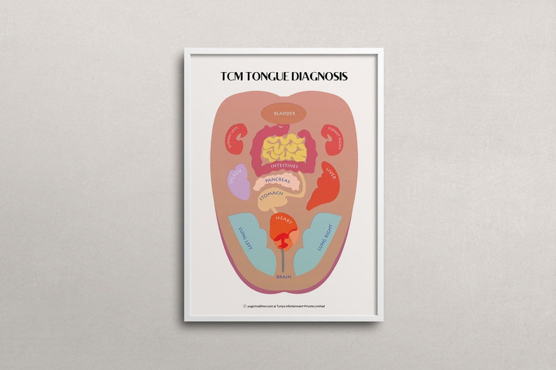 TCM Tongue Diagnosis Chart Poster Book Planner Insert, Traditional ...
