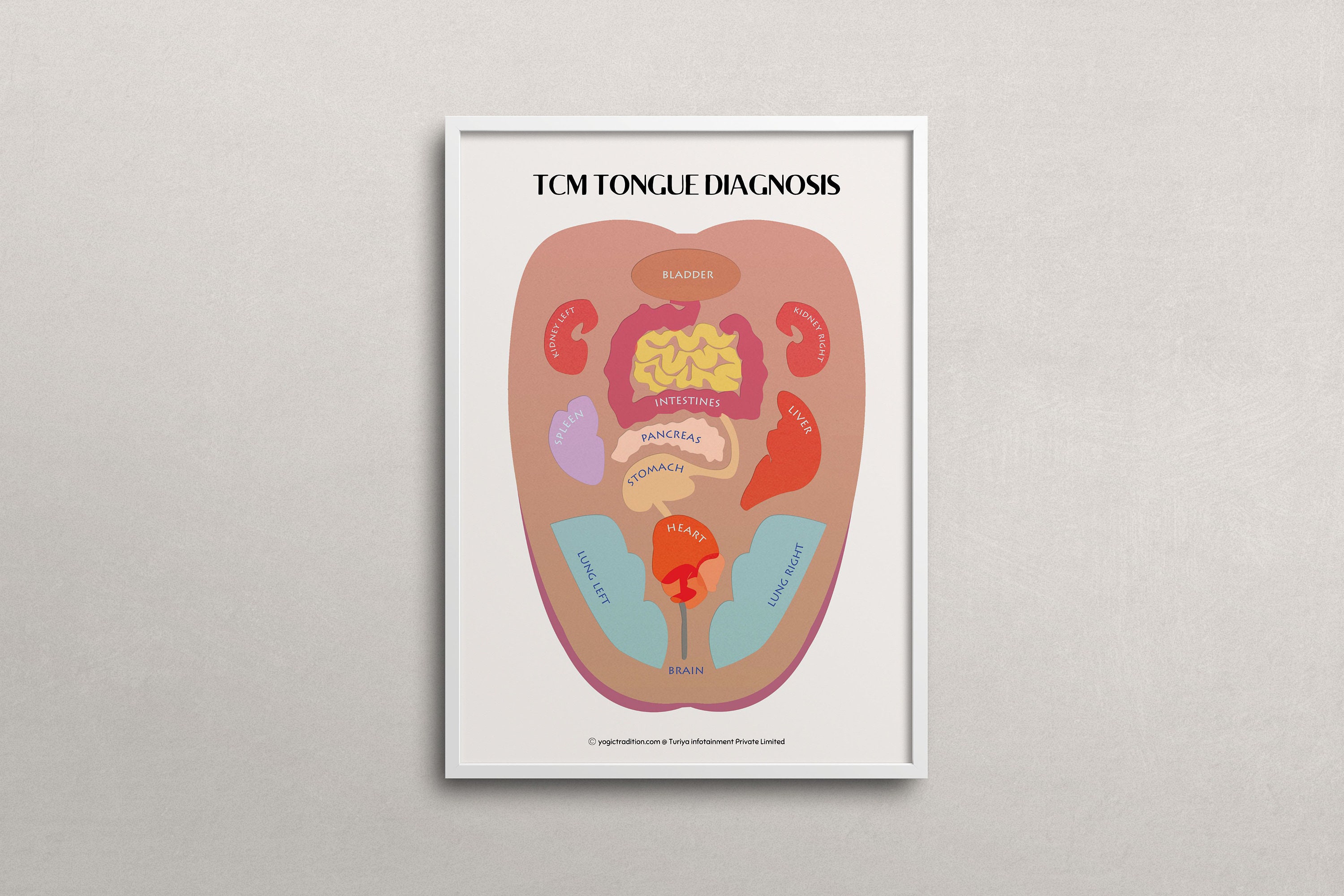 TCM Tongue Diagnosis Chart Poster Book Planner Insert - Etsy UK