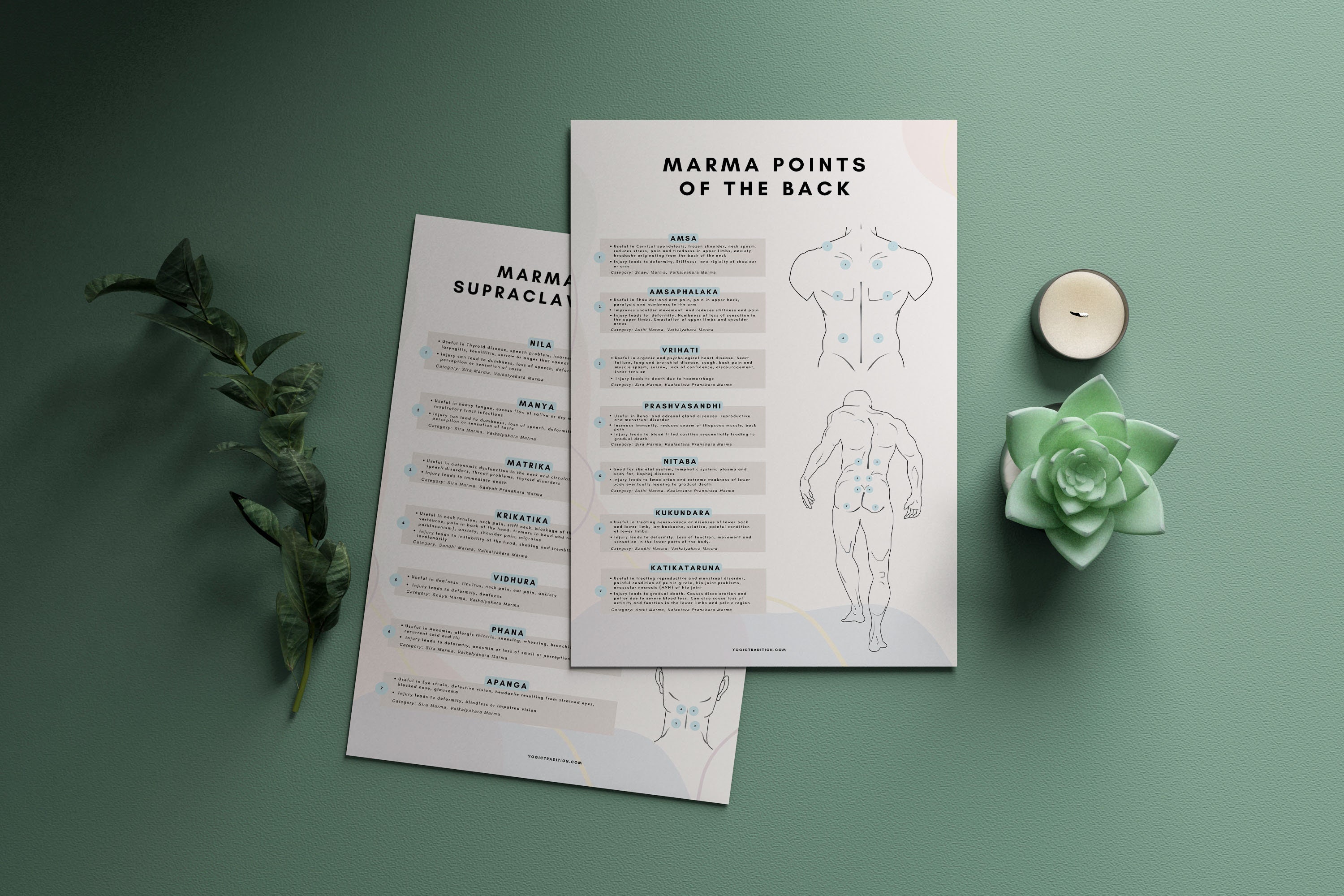 Ayurveda Marma Points Posters Bundle of 6 Posters for Clinic, Full Body ...