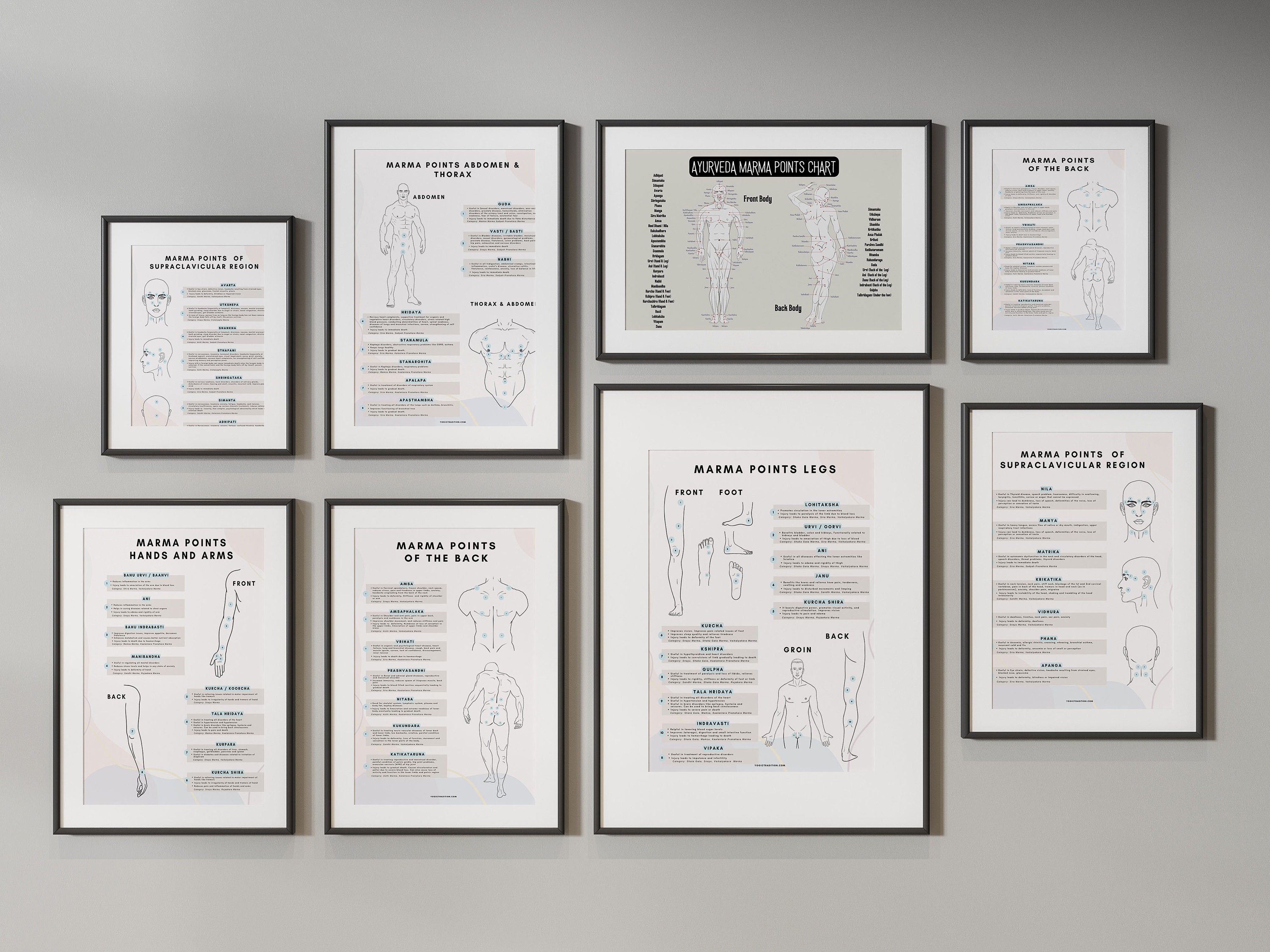 Ayurveda Marma Points Posters Bundle of 6 Posters for Clinic, Full Body ...