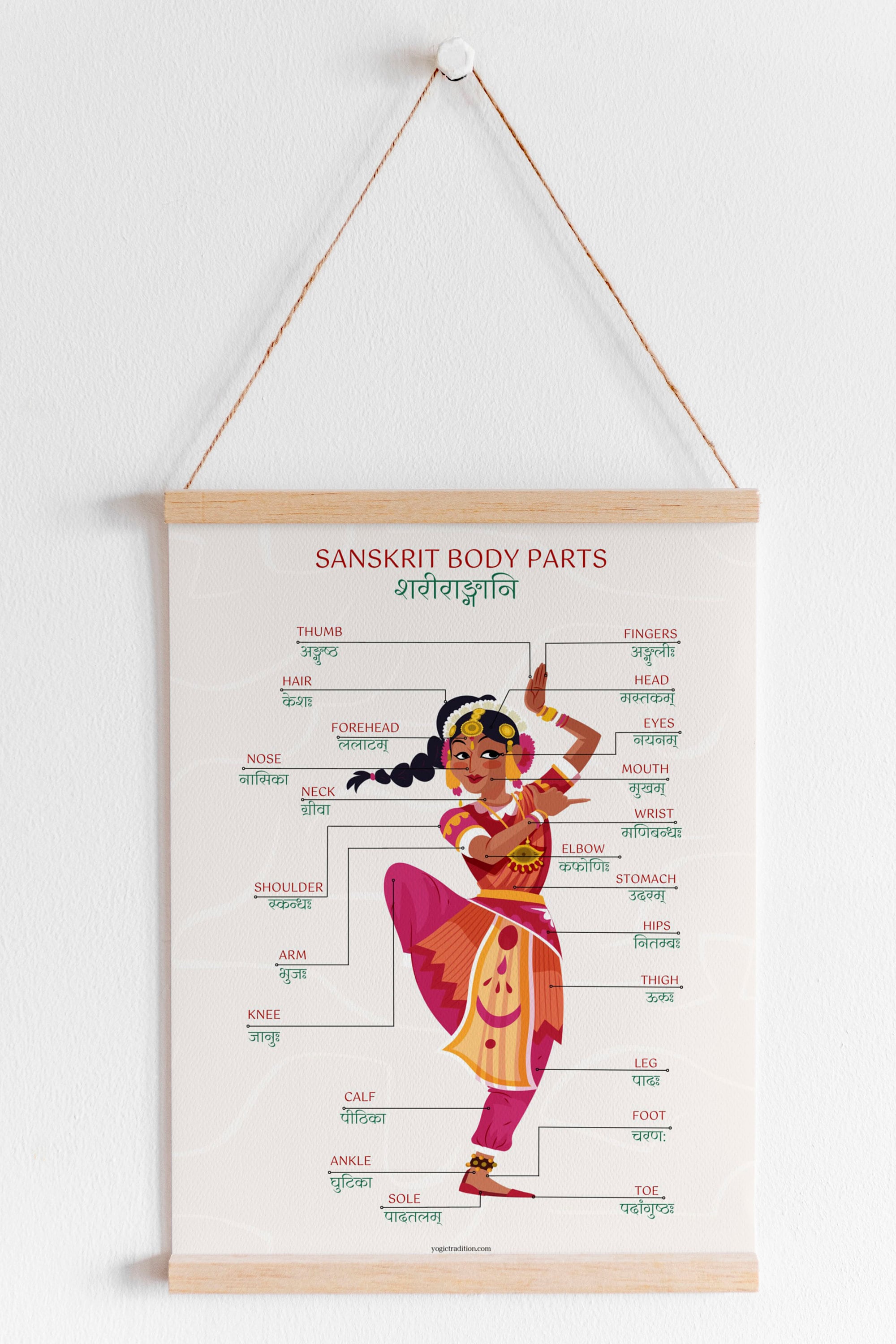 Sanskrit Body Parts Names With English Translations Self Study Chart ...