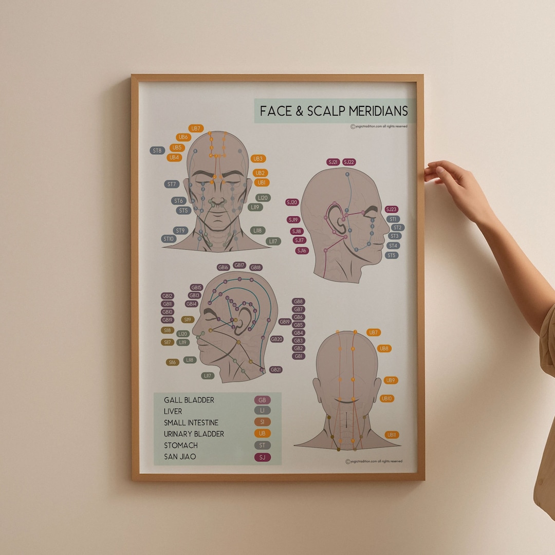 TCM Face and Scalp Meridians Poster, Chinese Medicine Gift, Chinese 12 ...