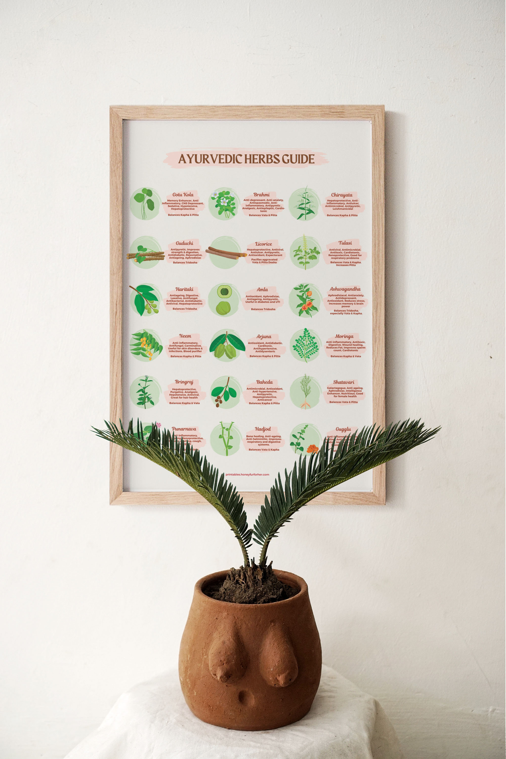 Ayurvedic Herbs Chart Guide Poster Ayurveda Chart 18 Herbs - Etsy