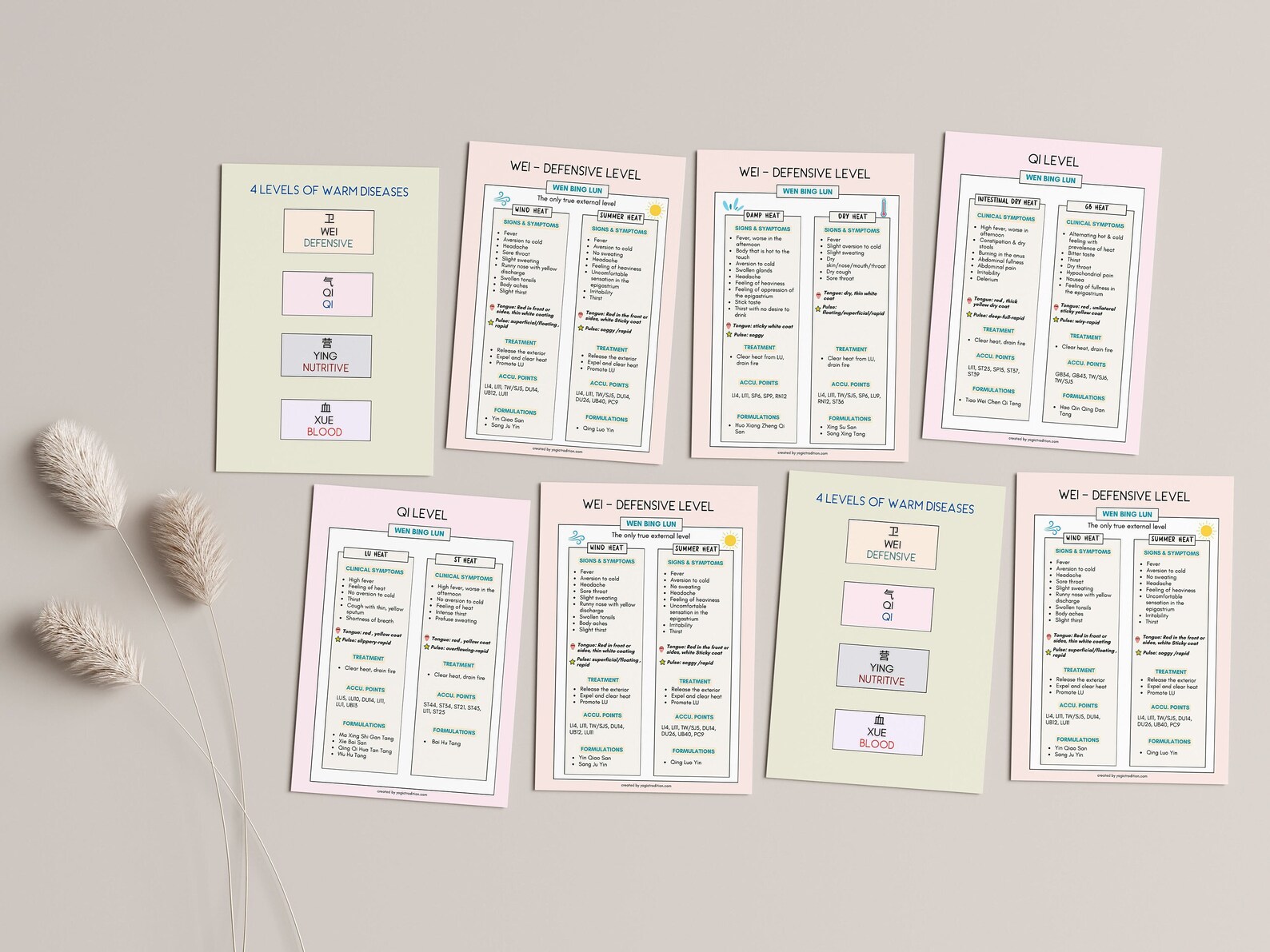 Flashcards - TCM 4 Levels of Warm Diseases Wen Bing Lun Printable ...
