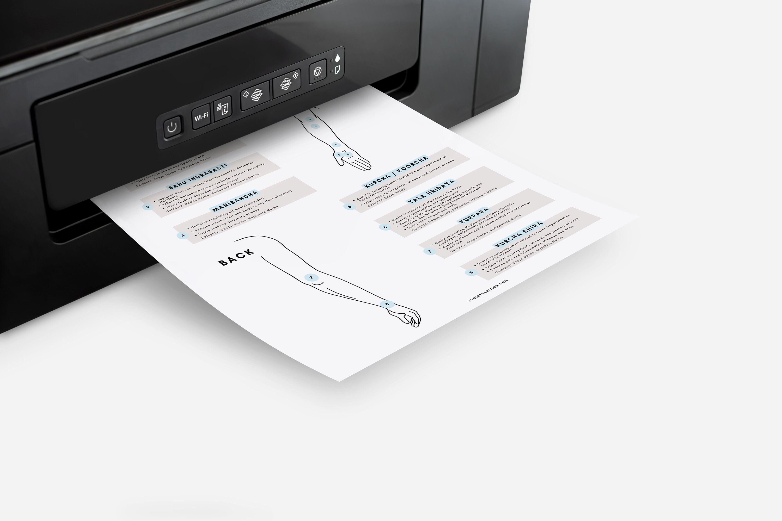 Ayurveda Marma Points of Hand and Arms Chart Energy Points of - Etsy