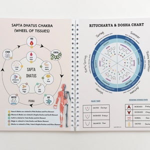Ritucharya Seasons and Dosha Relation Chart Ayurveda Infographic Poster ...