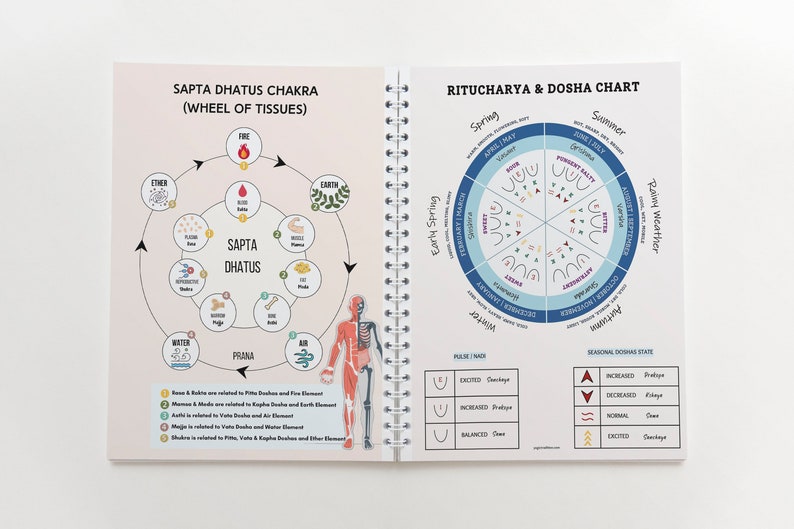 Ritucharya Seasons and Dosha Relation Chart Ayurveda Infographic Poster ...