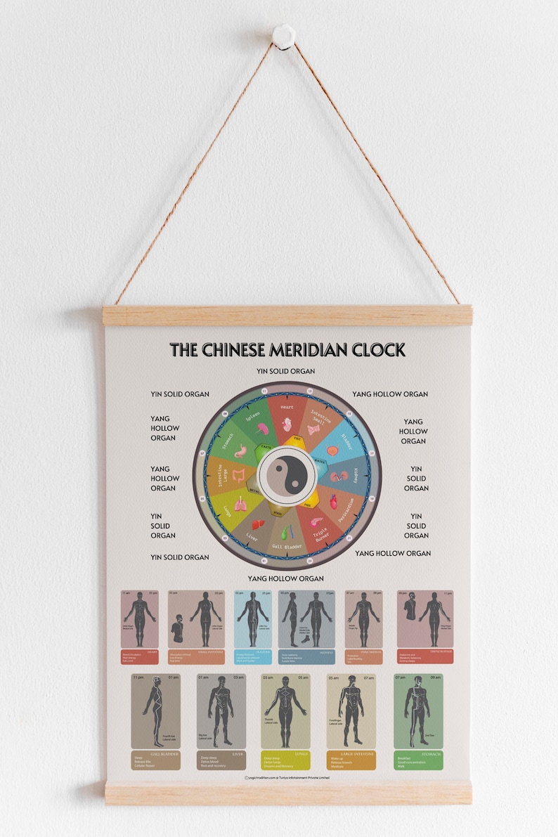 Buy TCM Meridian Organ Clock Poster, Chinese Medicine Gift, Chinese 12 ...