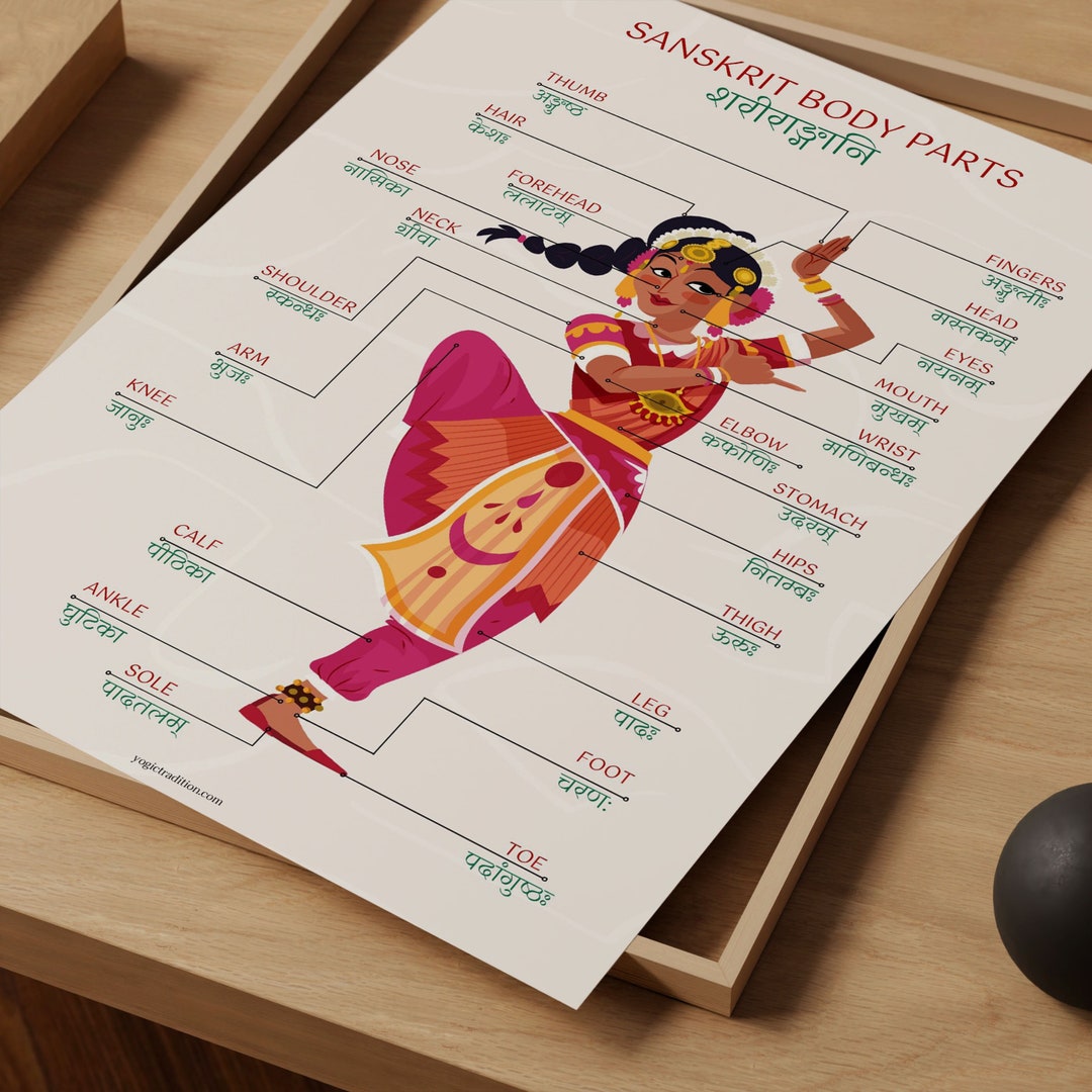 Sanskrit Body Parts Names With English Translations Self Study - Etsy