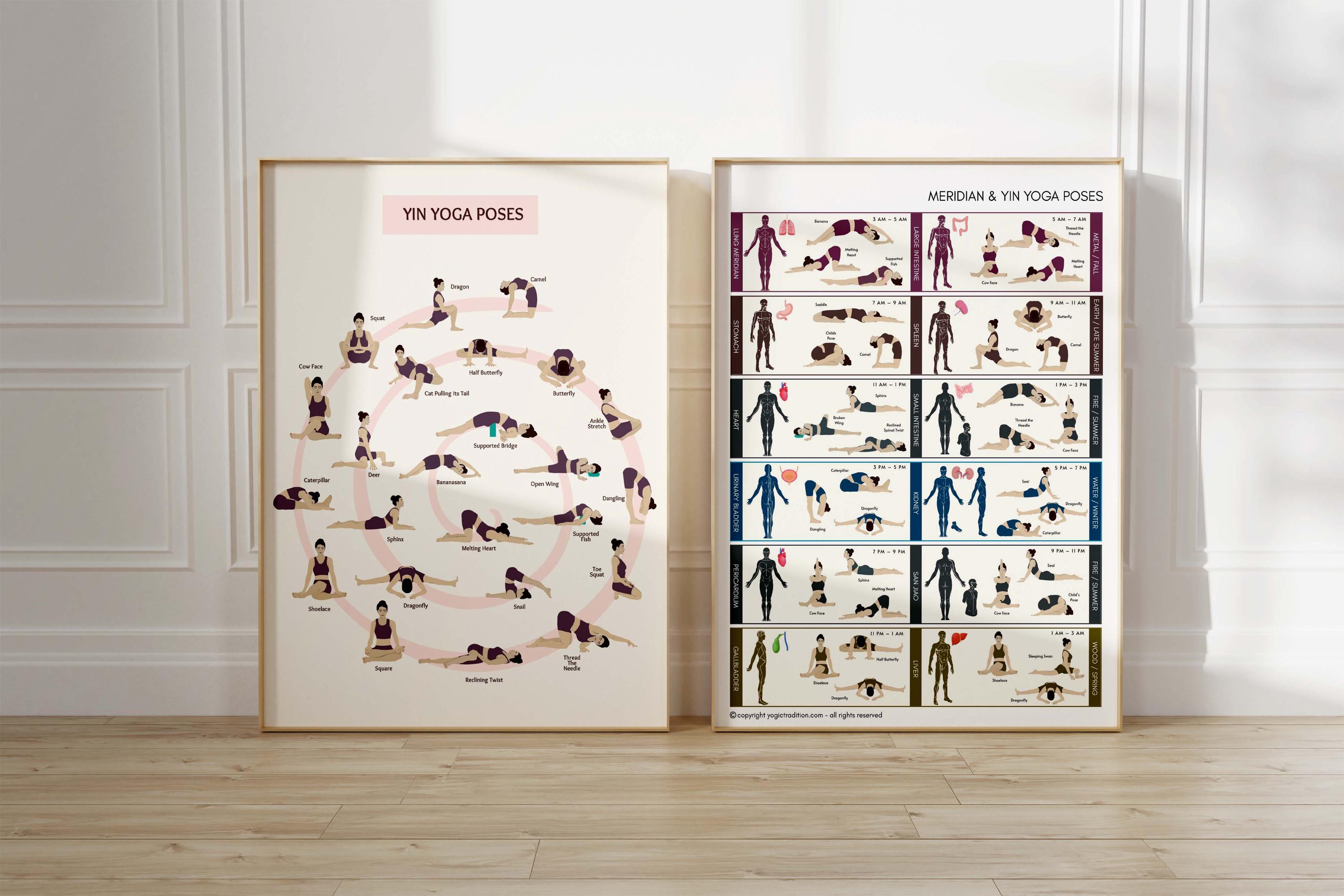 TCM Meridian Yin Yoga Poses Chart Poster, Chinese Medicine Gift ...