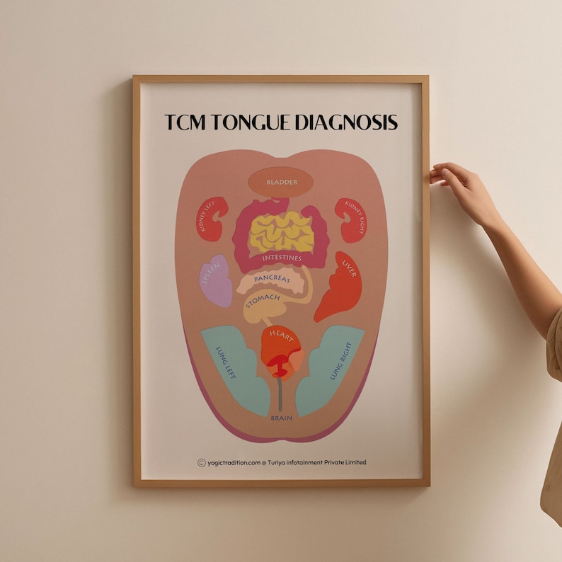 TCM Tongue Diagnosis Chart Poster Book Planner Insert, Traditional Chinese Medicine Chart ...