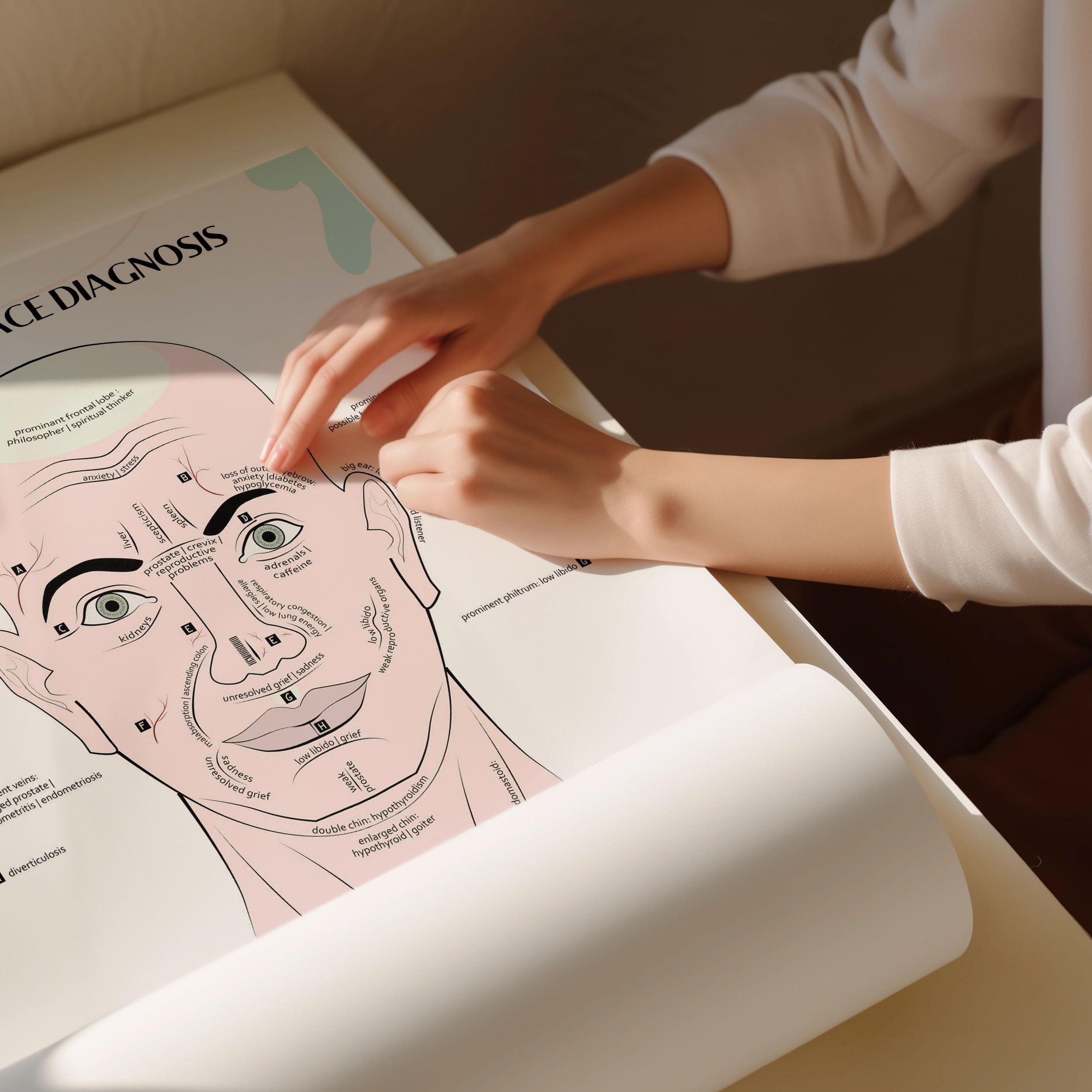 Ayurveda Face Diagnosis Poster Book Planner Insert, Ayurveda Chart ...