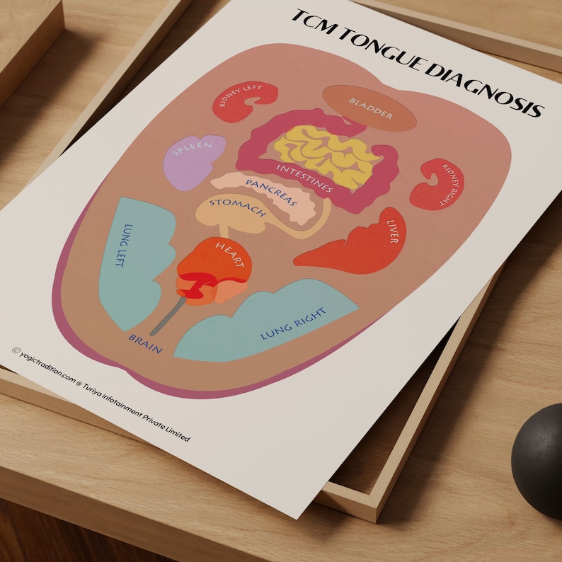 TCM Tongue Diagnosis Chart Poster Book Planner Insert, Traditional ...