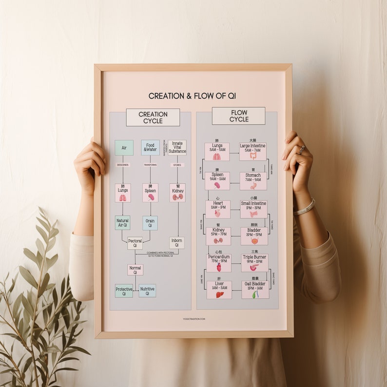 TCM Creation & Flow of Qi Poster, Acupuncture Office Decor (digital ...