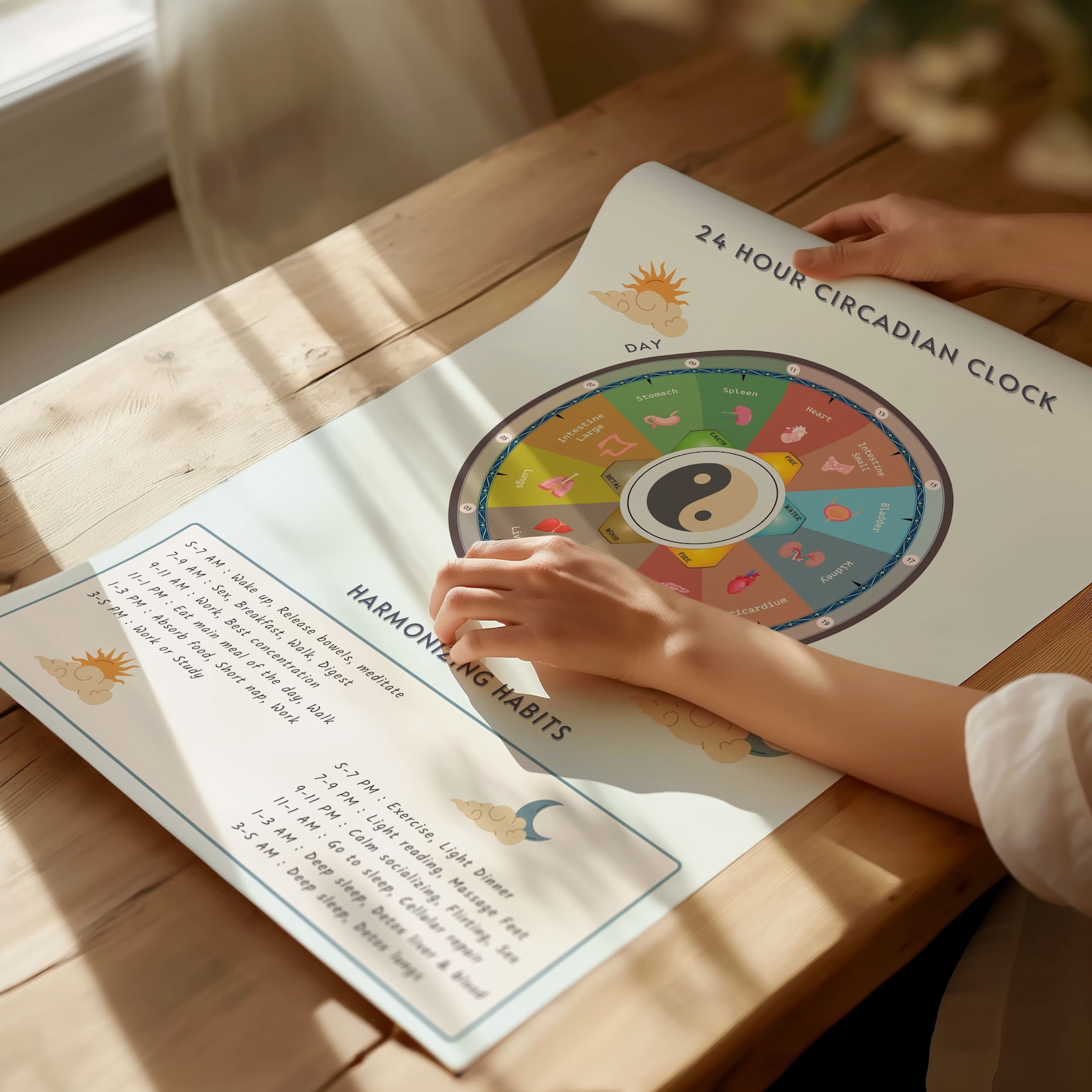 TCM 24 Hour Circadian Clock Poster, Chinese Medicine Gift, Chinese ...