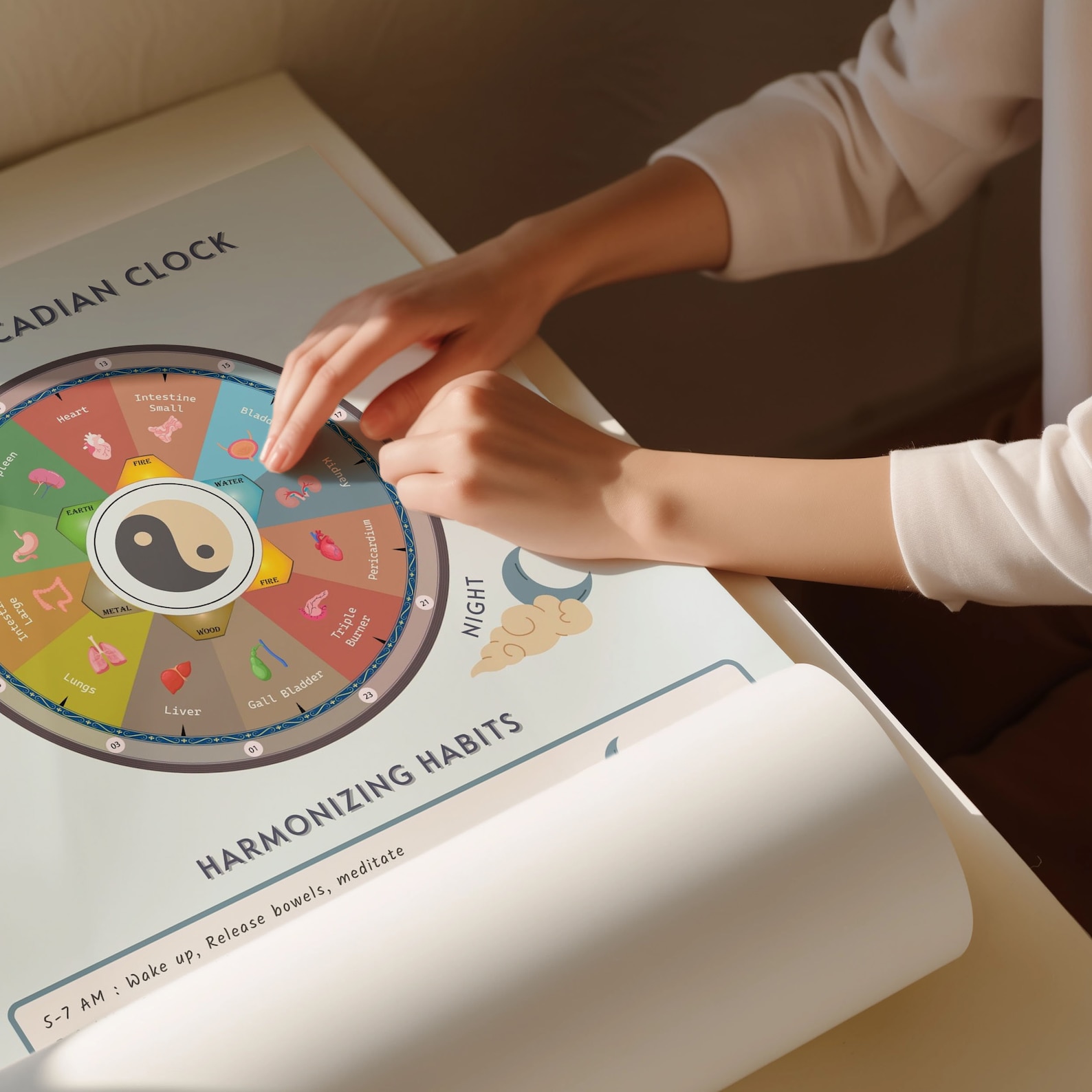 TCM 24 Hour Circadian Clock Poster, Chinese Medicine Gift, Chinese ...