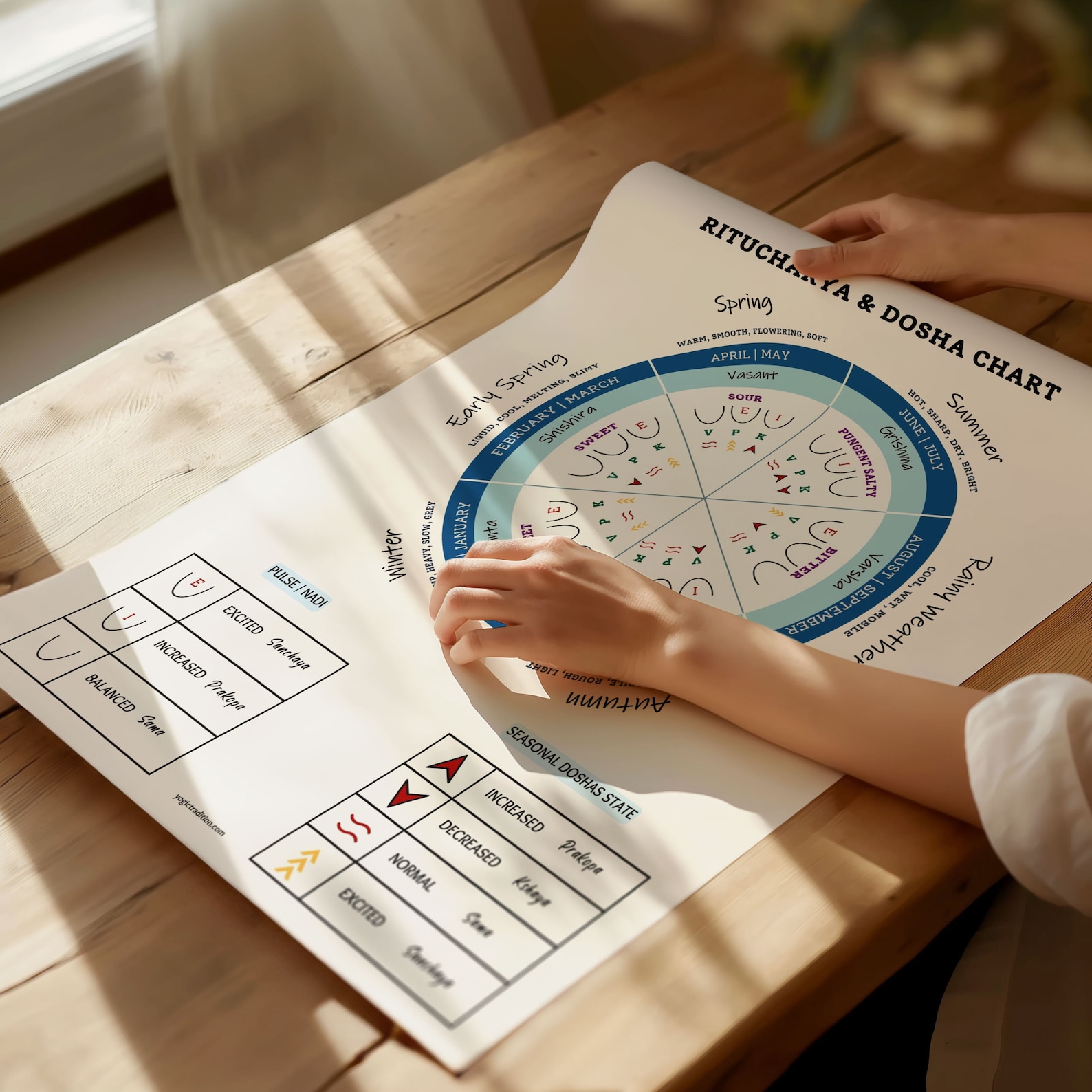 Ayurveda Ritucharya Dosha Chart, Seasons Infographic Poster (PDF) - Etsy