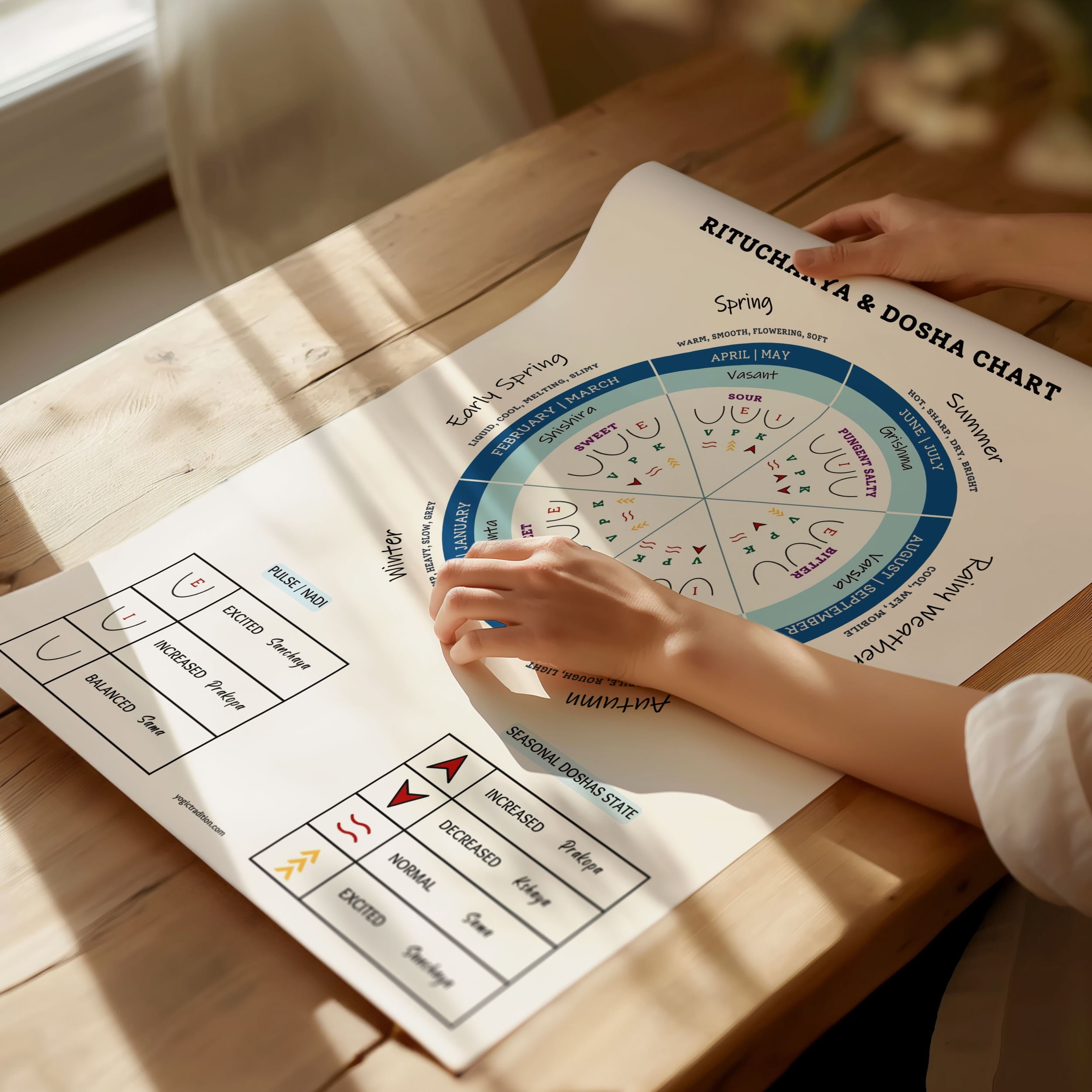 Ritucharya Seasons and Dosha Relation Chart Ayurveda Infographic Poster ...