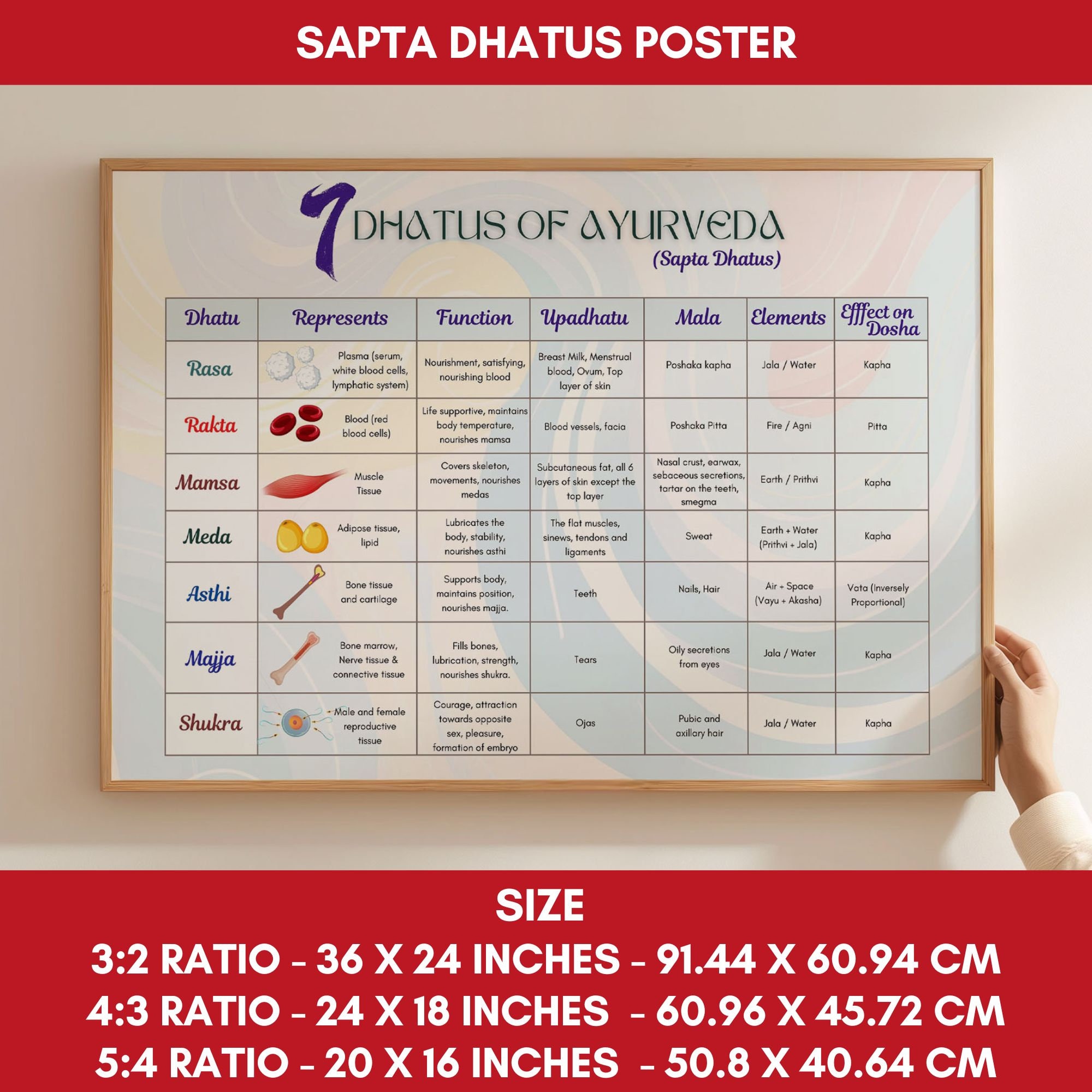 Ayurveda Posters Bundle of 5 Posters for Clinic, Ayurveda Clock ...