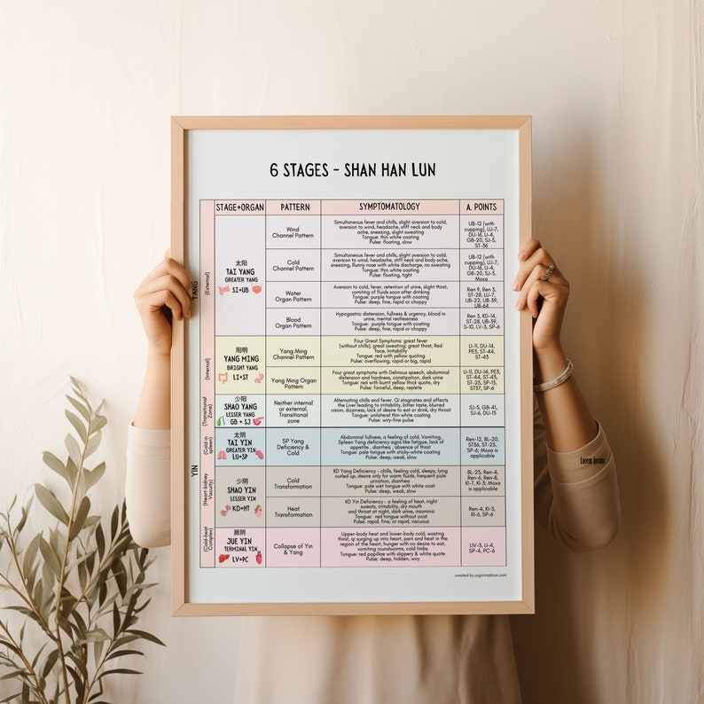 TCM 6 Stages of Fever Poster, Shan Han Lun, Acupuncture Gift (digital ...