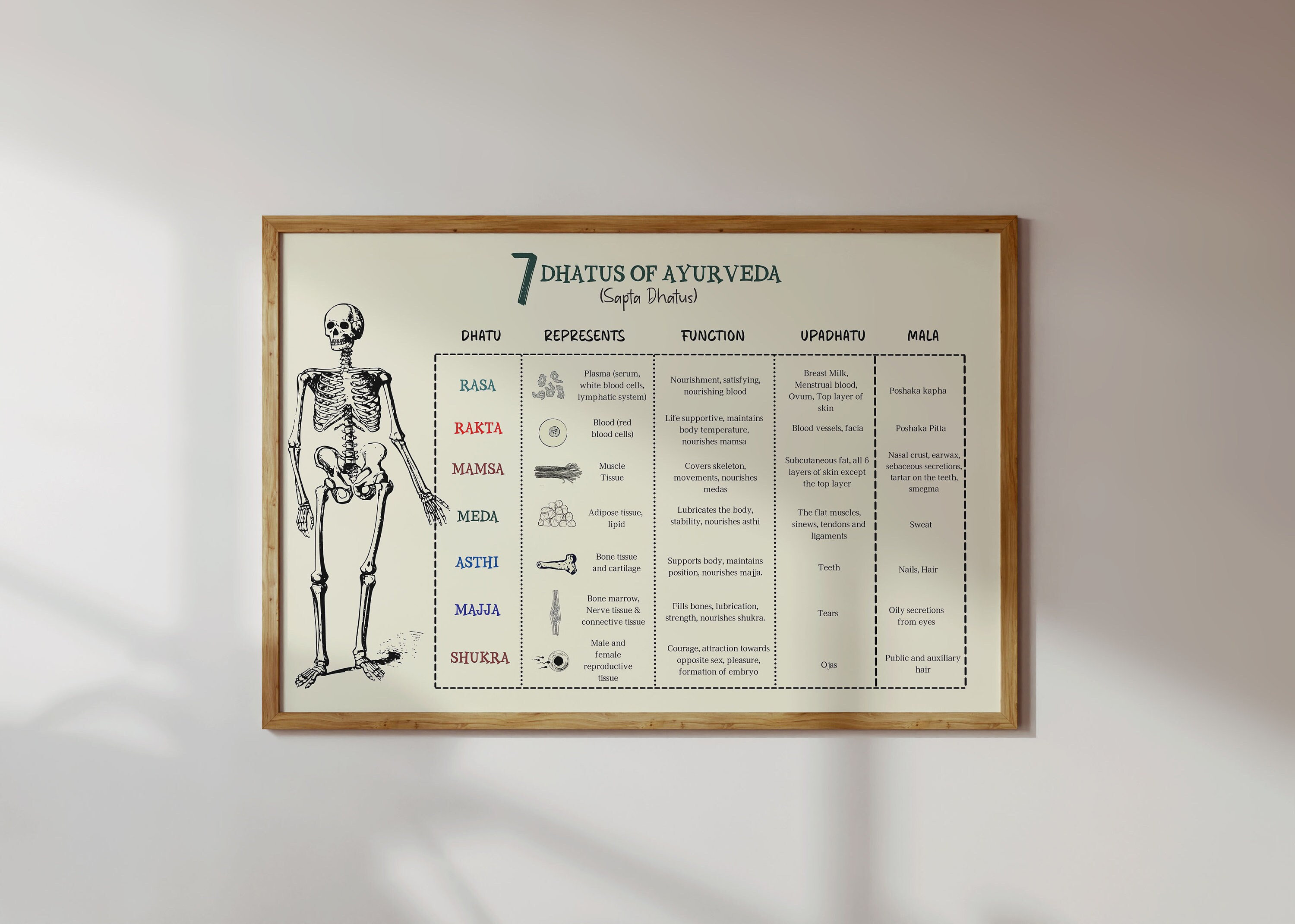 Ayurveda Poster Ayurveda Chart Sapta Dhatus 7 Dhatus of - Etsy UK