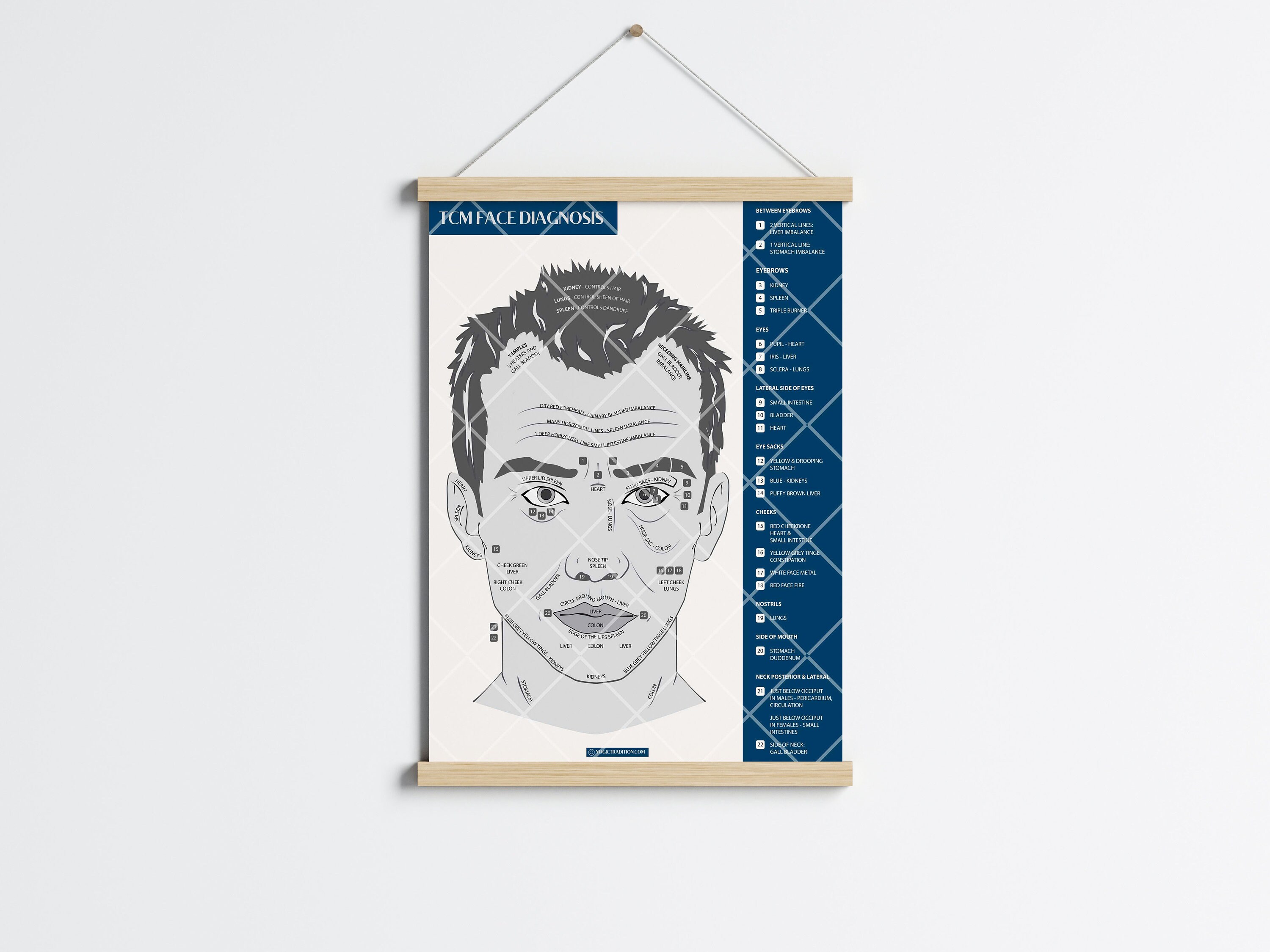 TCM Face Diagnosis Poster Book Planner Insert, TCM Chart, Traditional ...