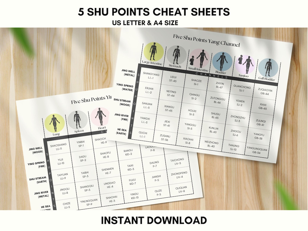 TCM 5 Shu Points Cheat Sheets for Acupuncturist, Yin Yang Channels Acupuncture Educational for ...