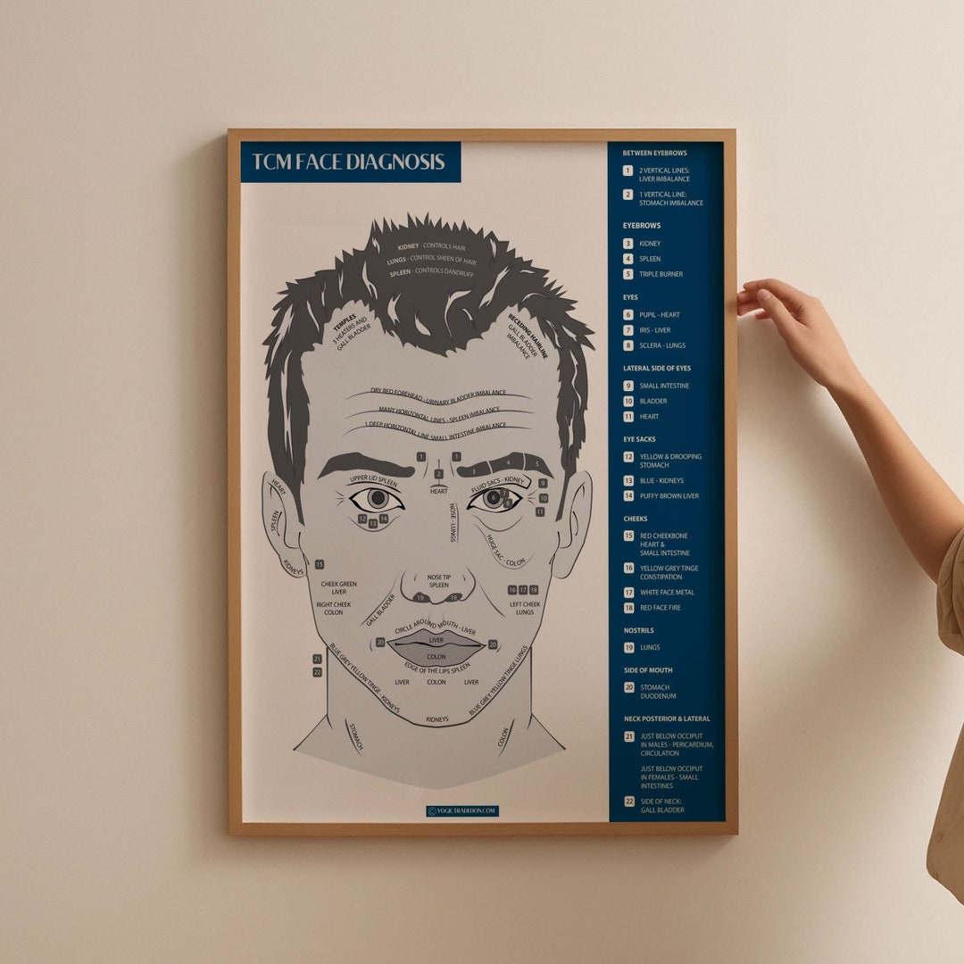 TCM Face Diagnosis Poster + Book Planner Insert, TCM Chart, Traditional ...