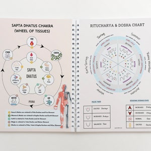Ayurveda Sapta Dhatu Wheel Chart Poster 7 Dhatus Relation With 5 Elements Study Aid Guide ...