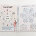 Ayurveda Sapta Dhatu Wheel Chart Poster 7 Dhatus Relation With 5 ...