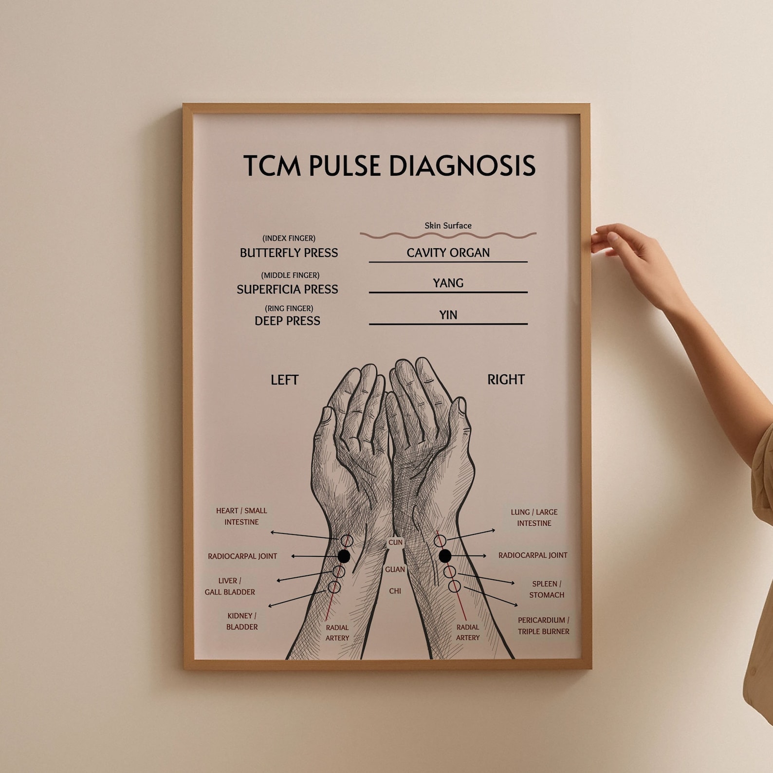 TCM Pulse Chart Poster, Traditional Chinese Medicine Pulse Reading Art ...