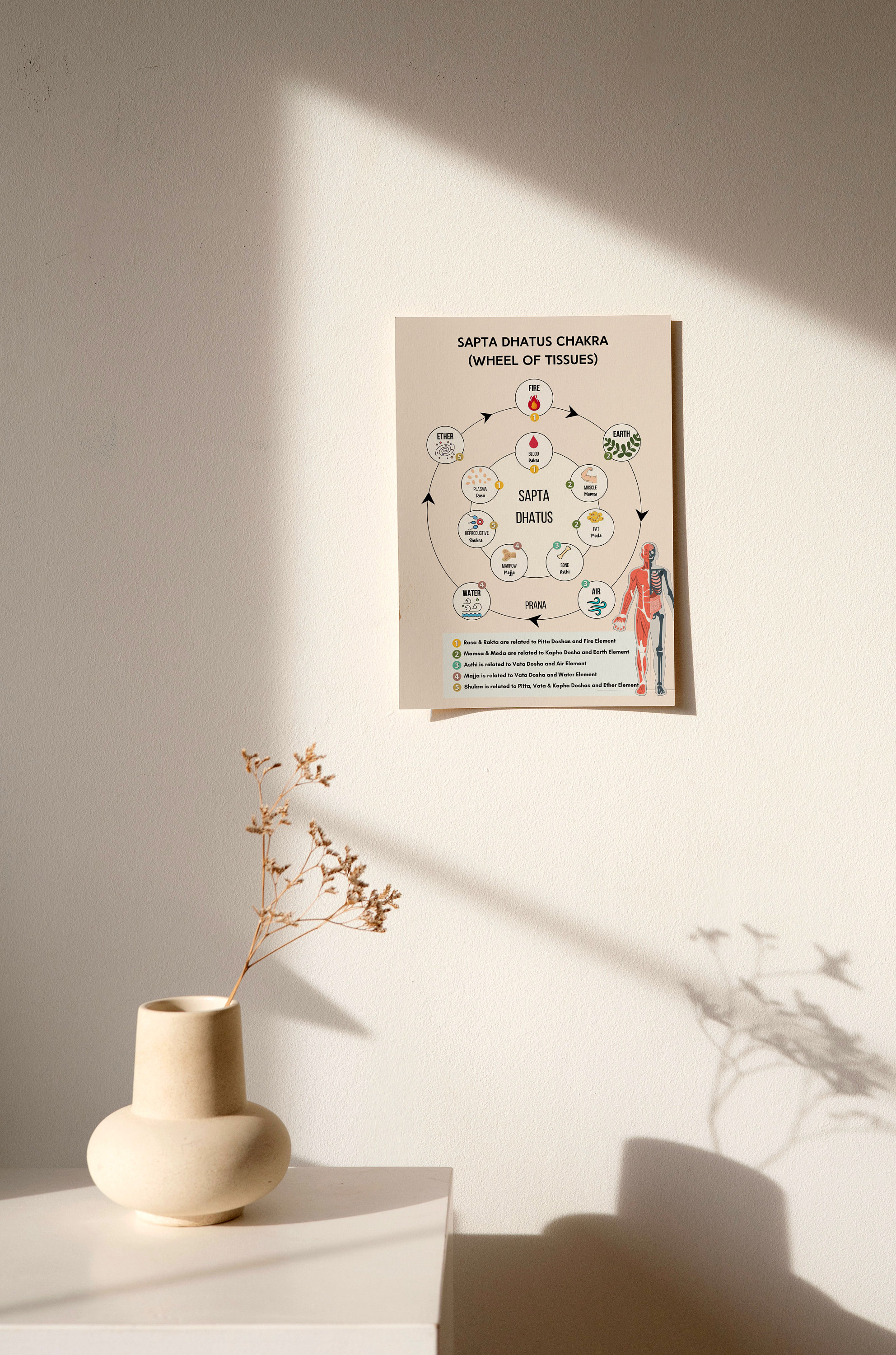 Ayurveda Sapta Dhatu Wheel Chart Poster 7 Dhatus Relation With 5 Elements Study Aid Guide ...