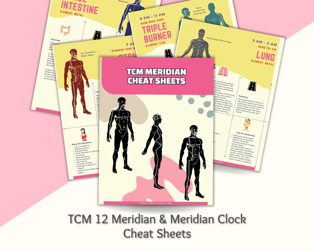 TCM 12 Meridians and Body Clock Cheatsheets Guide, Colored, Traditional ...