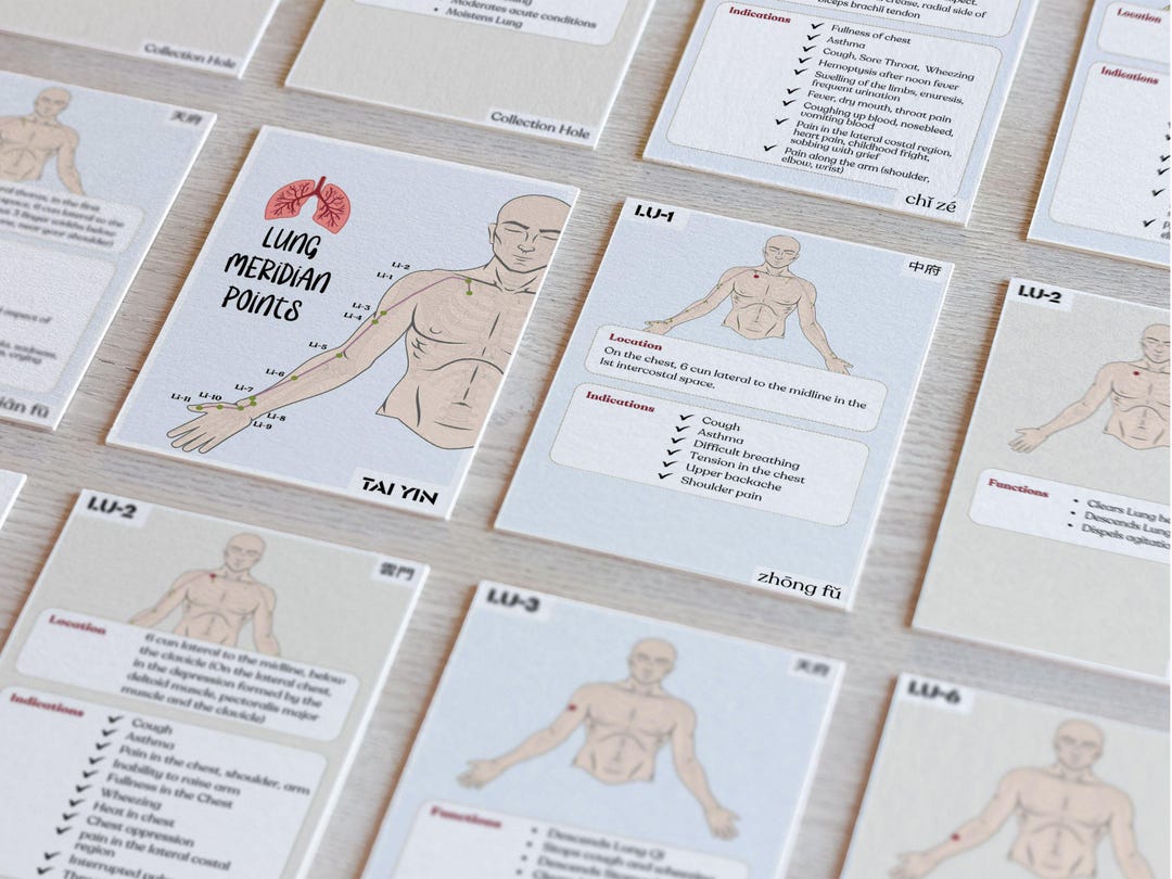 TCM Lung Meridian Acupuncture Points Flash Cards Printable Educational ...