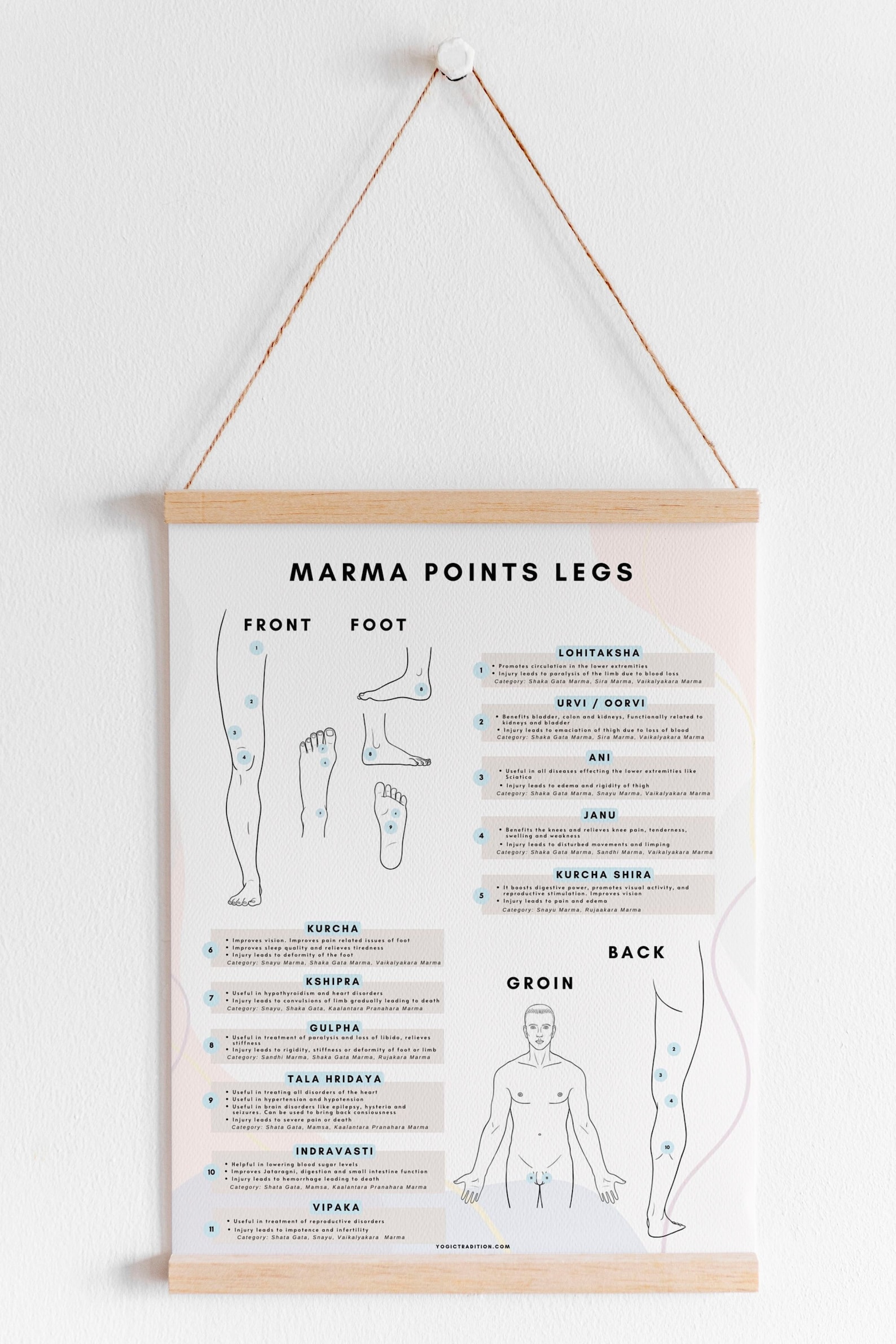 Ayurveda Marma Points of Legs Lower Limb Chart, Energy Points of ...