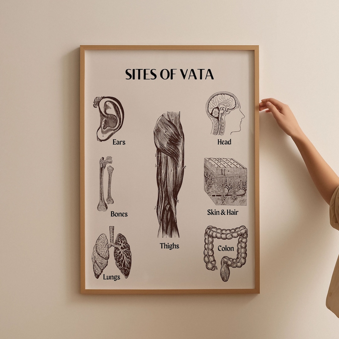 Sites of Vata Dosha Ayurveda Poster Book Planner Insert, Ayurveda Chart ...