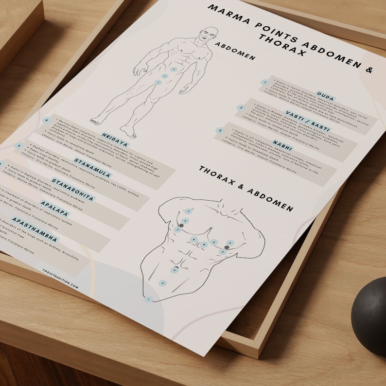 Ayurveda Marma Points of Abdomen Thorax Chart, Energy Points of ...